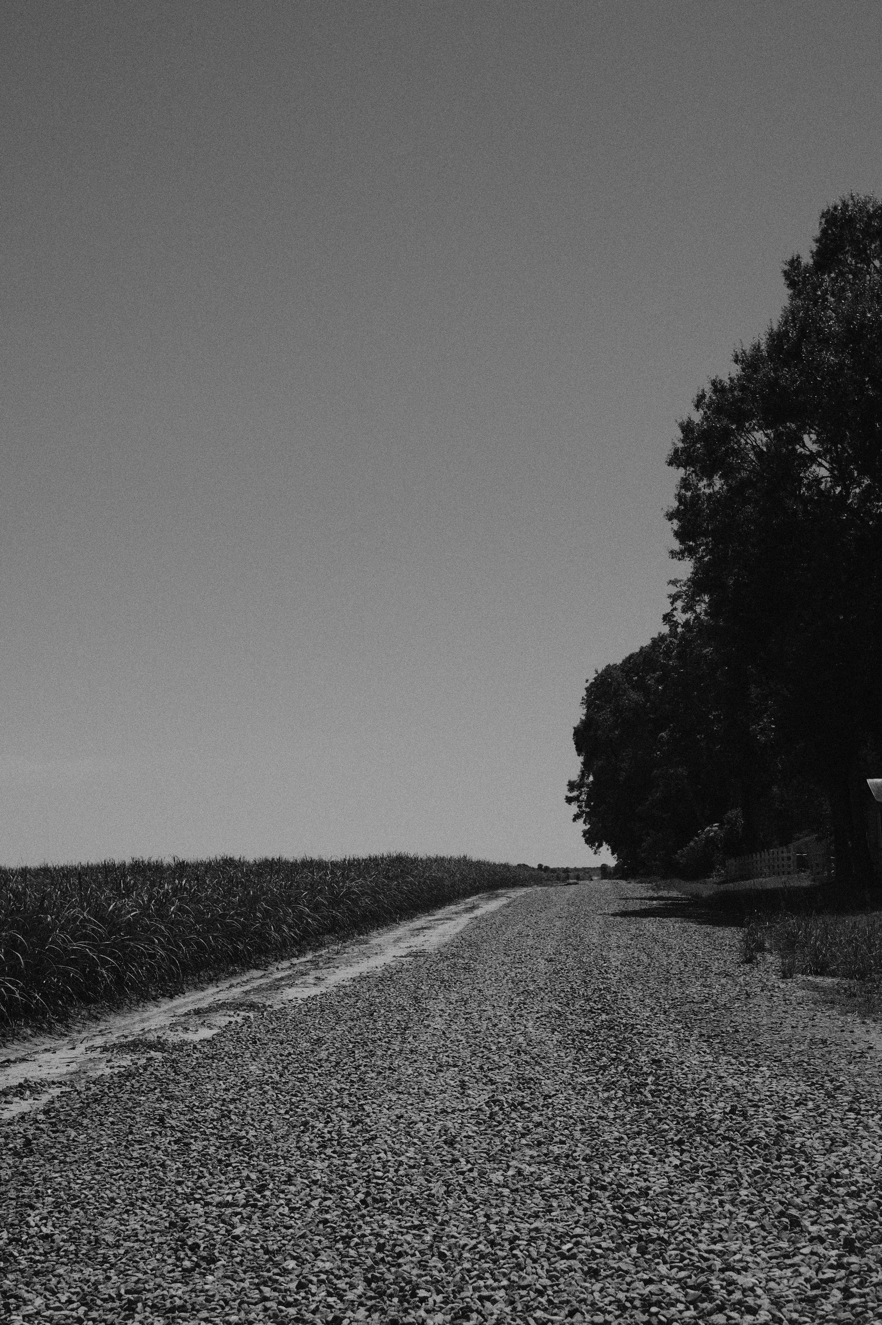 Grayscale Photo of Road Between Grass Field · Free Stock Photo