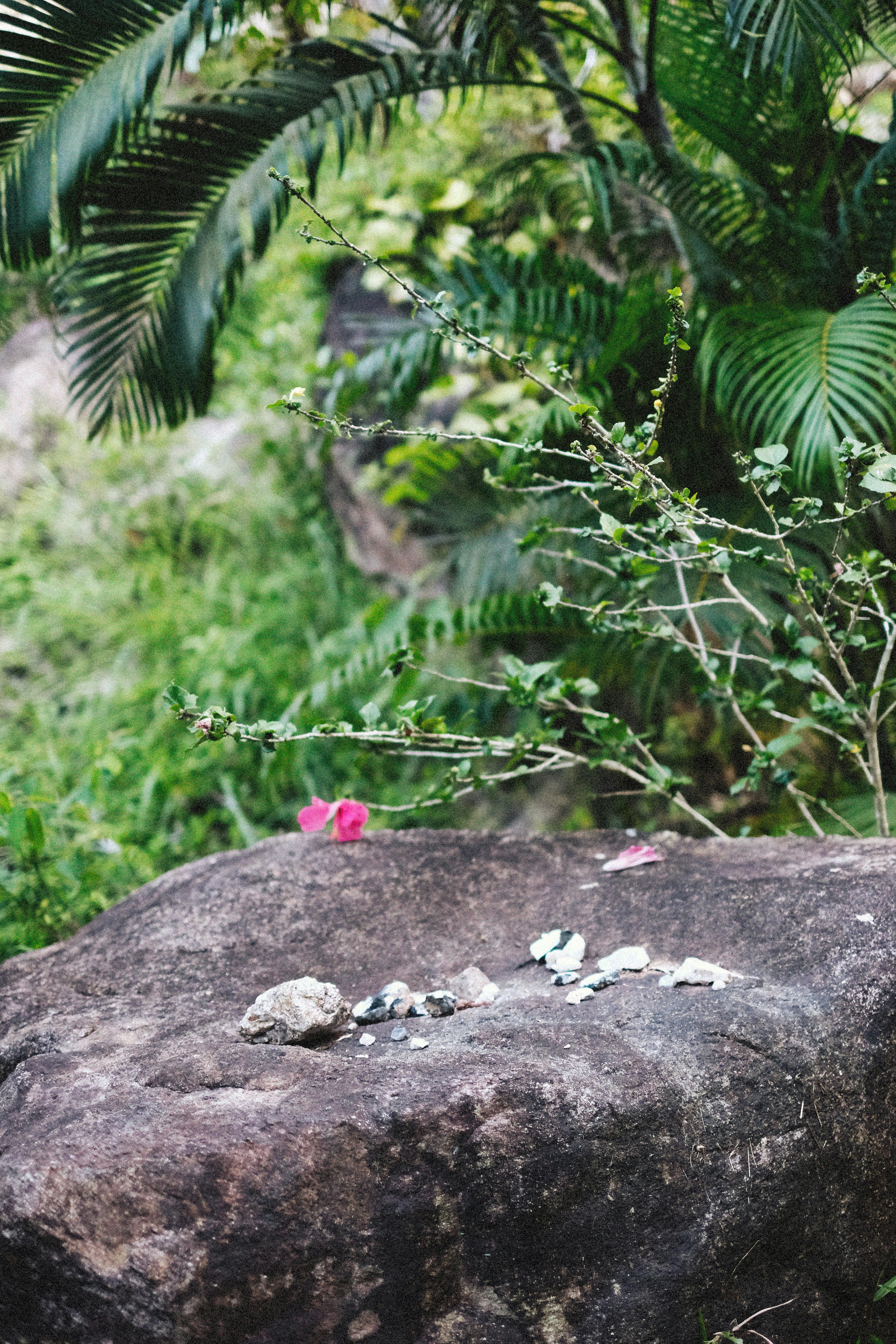 Close-up Photo of a Boulder · Free Stock Photo