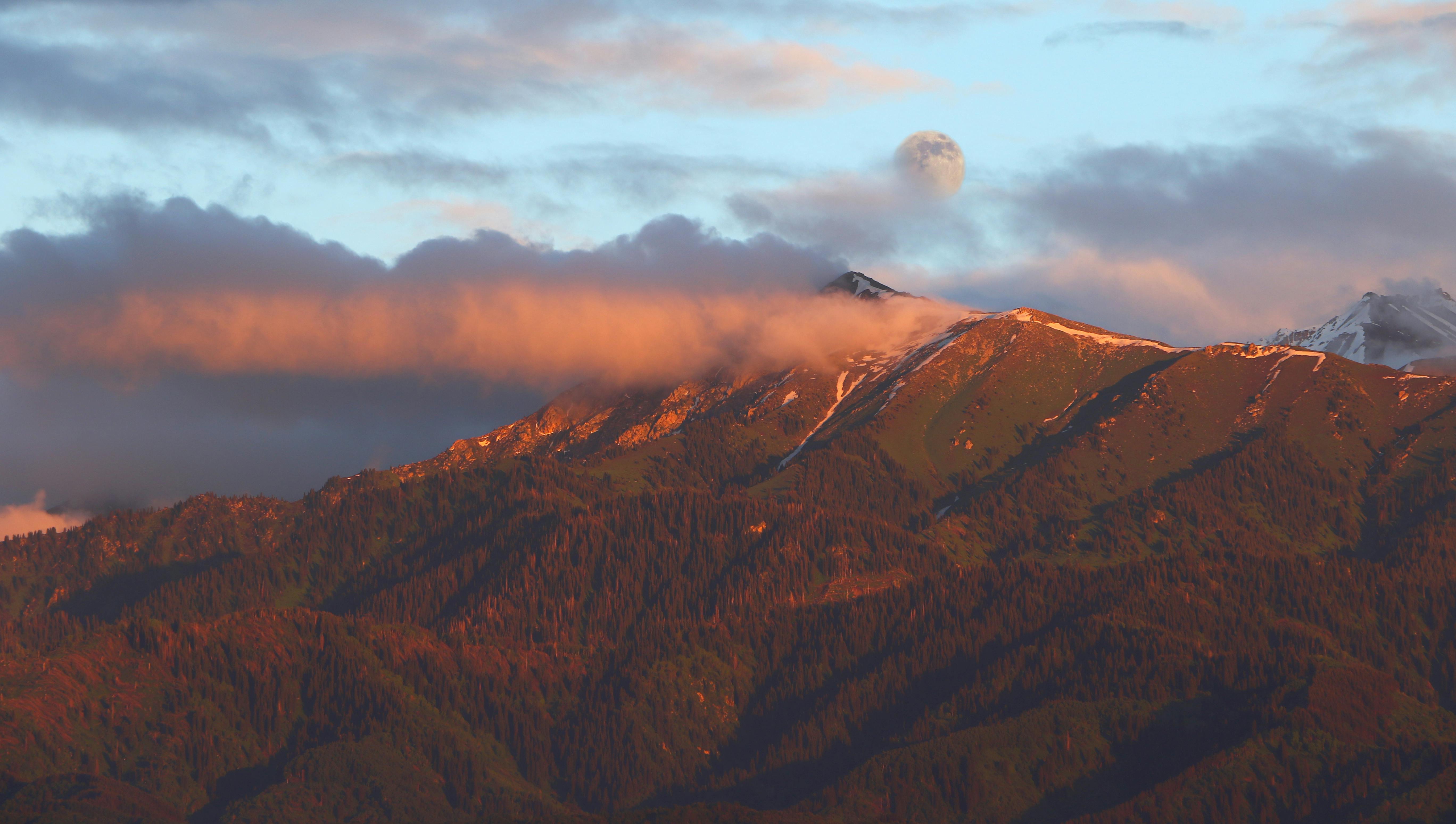 Aerial View of a Mountain · Free Stock Photo