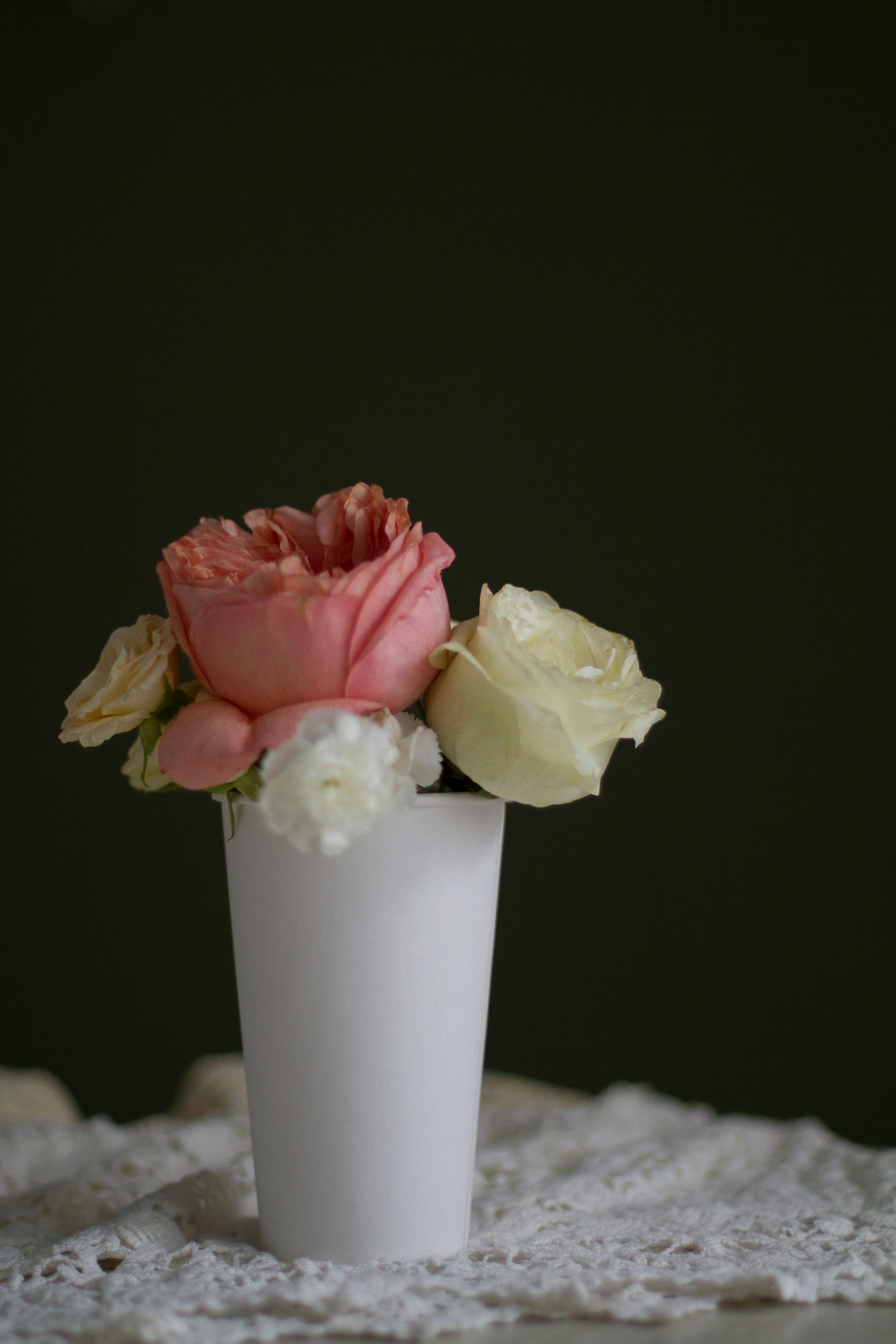 Roses in White Plastic Cup · Free Stock Photo