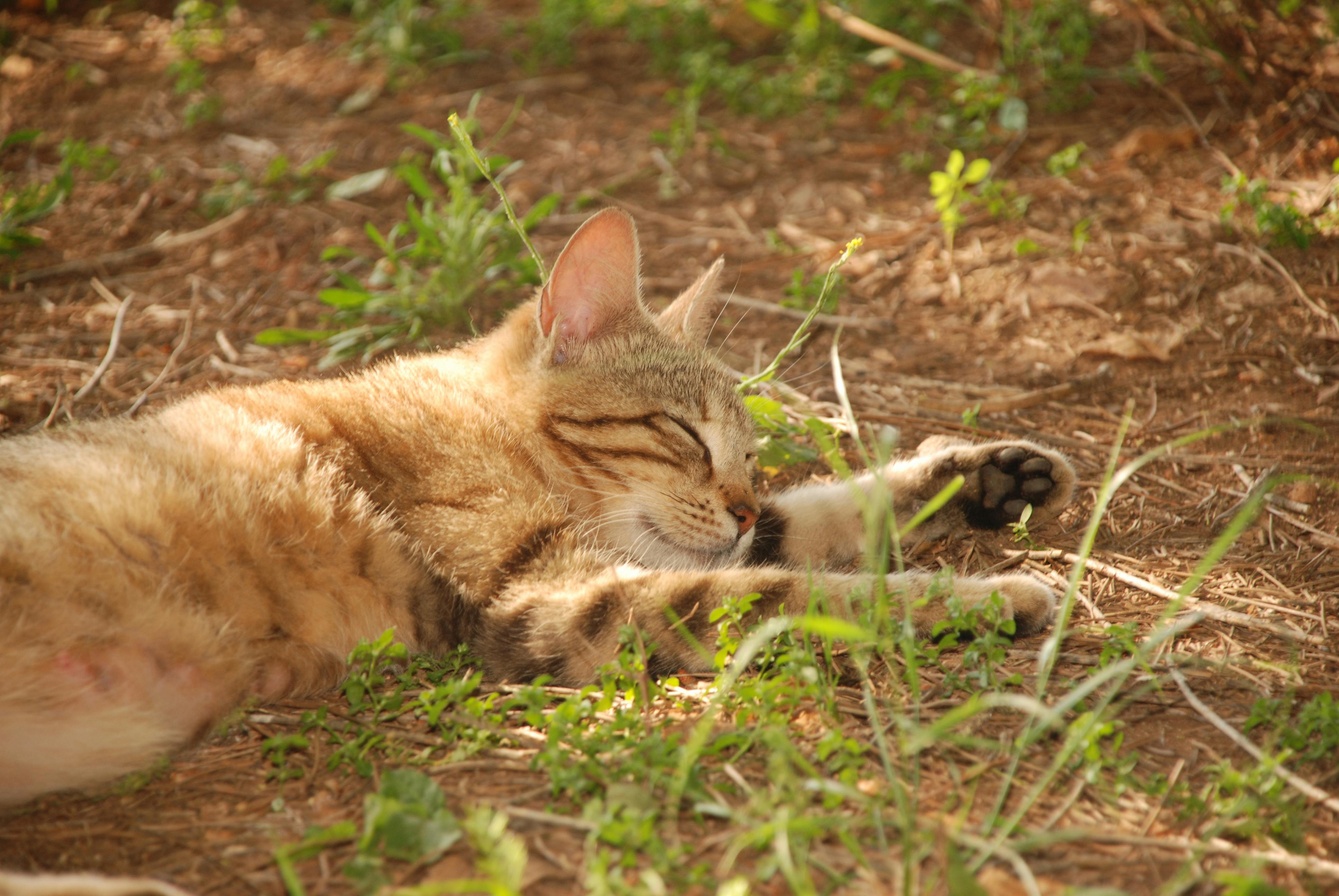 cemal cemil - Photography