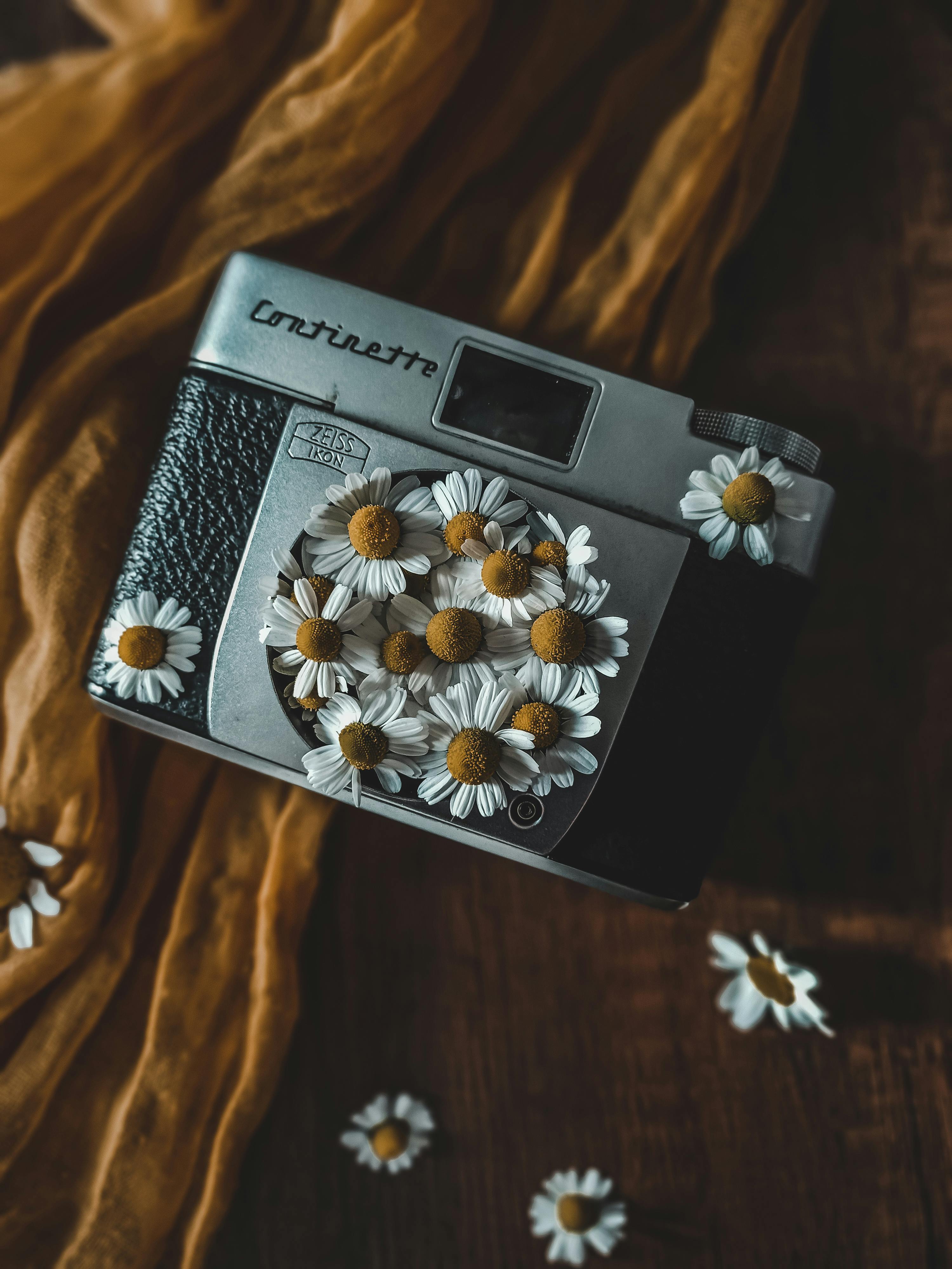 Photograph of White Daisies on Top of an Analog Camera · Free Stock Photo