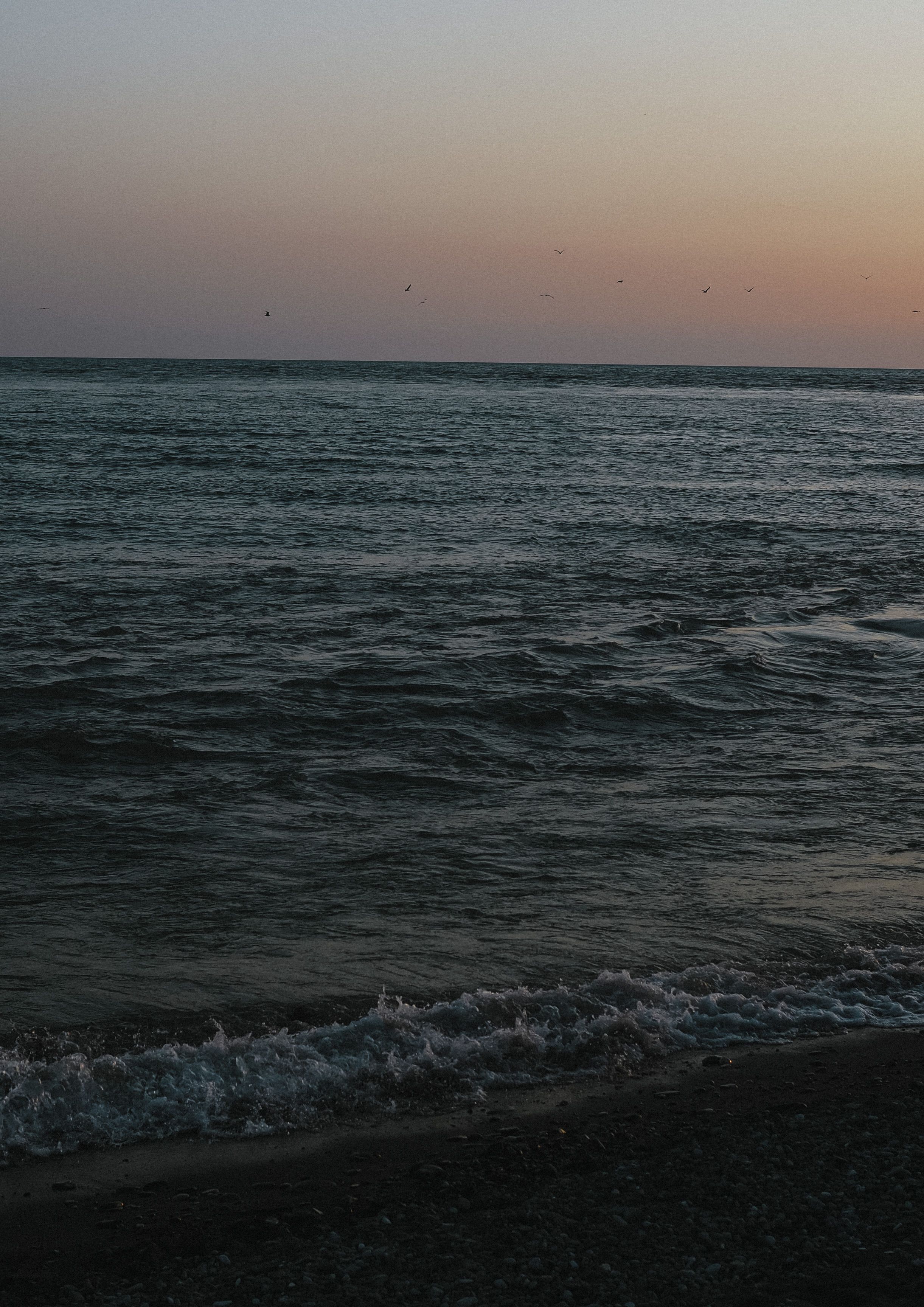 Crashing Sea Waves on the Sea Shore · Free Stock Photo