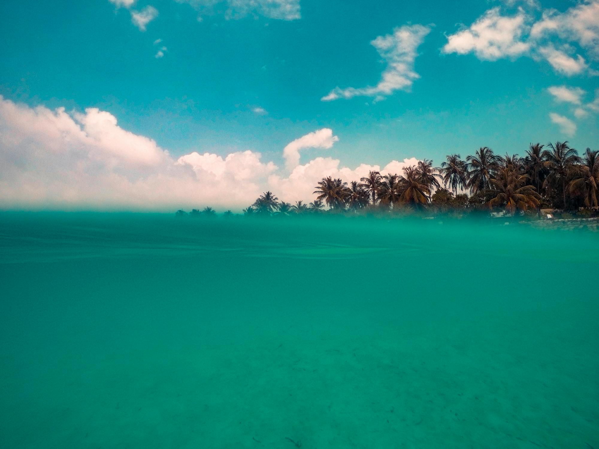 Split Shot Photo Of Seawater Free Stock Photo split-shot-photo-of-seawater-free-stock-photo