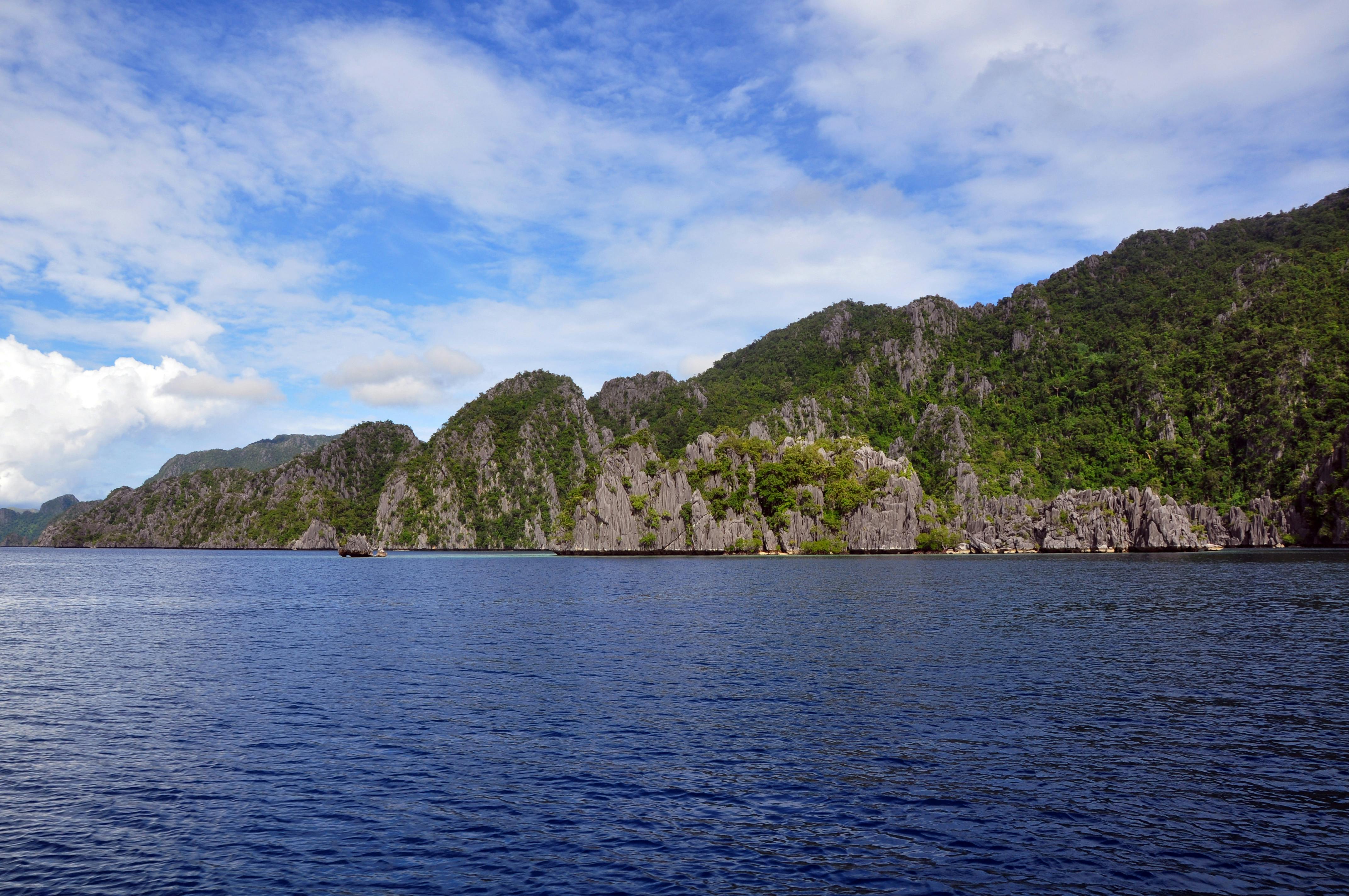 Ocean Beside the Brown Rock Mountains with Trees · Free Stock Photo