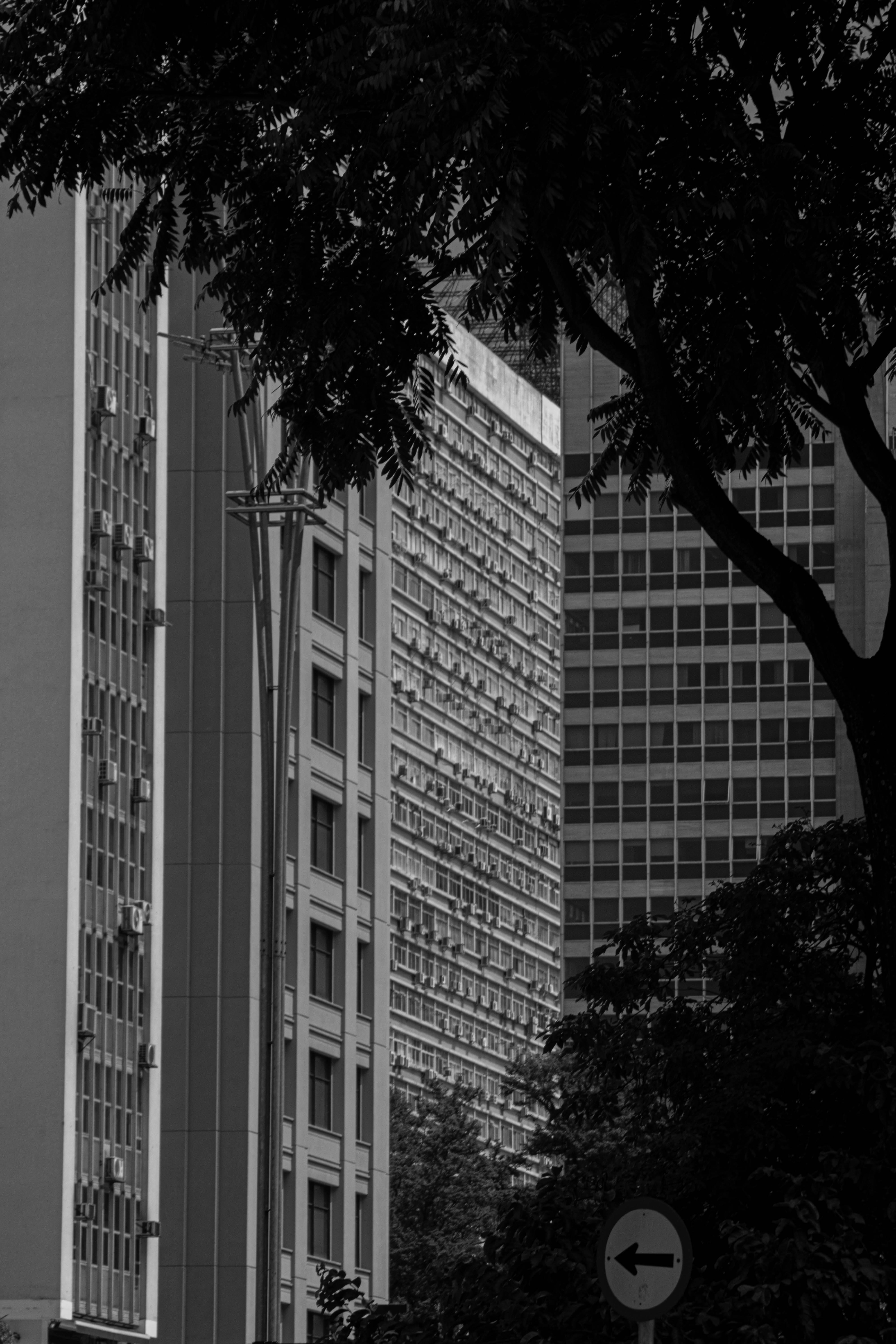 Gray Scale Window Photo · Free Stock Photo