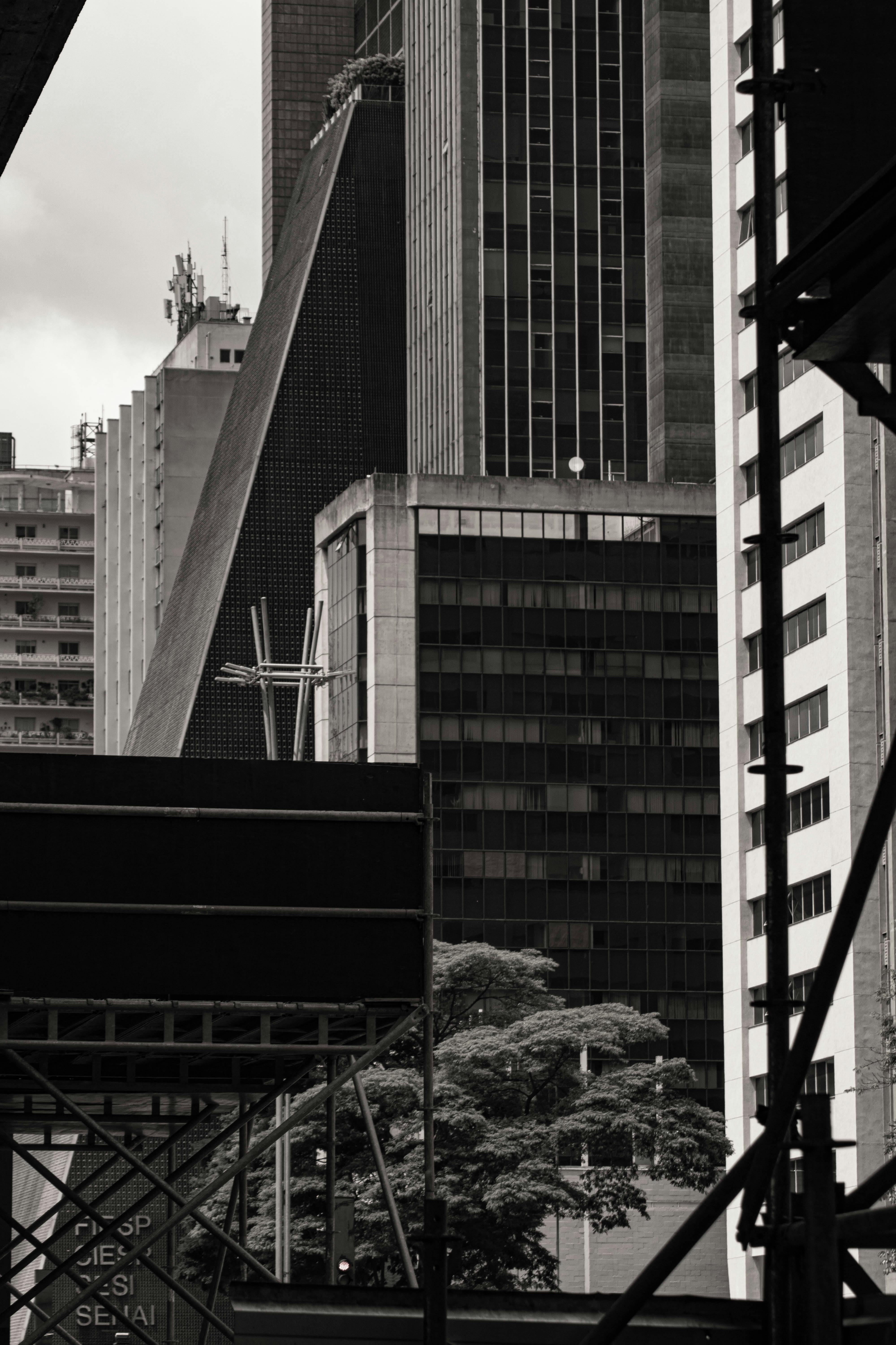 Foto de stock gratuita sobre árbol, arquitectura, fotos en blanco y ...