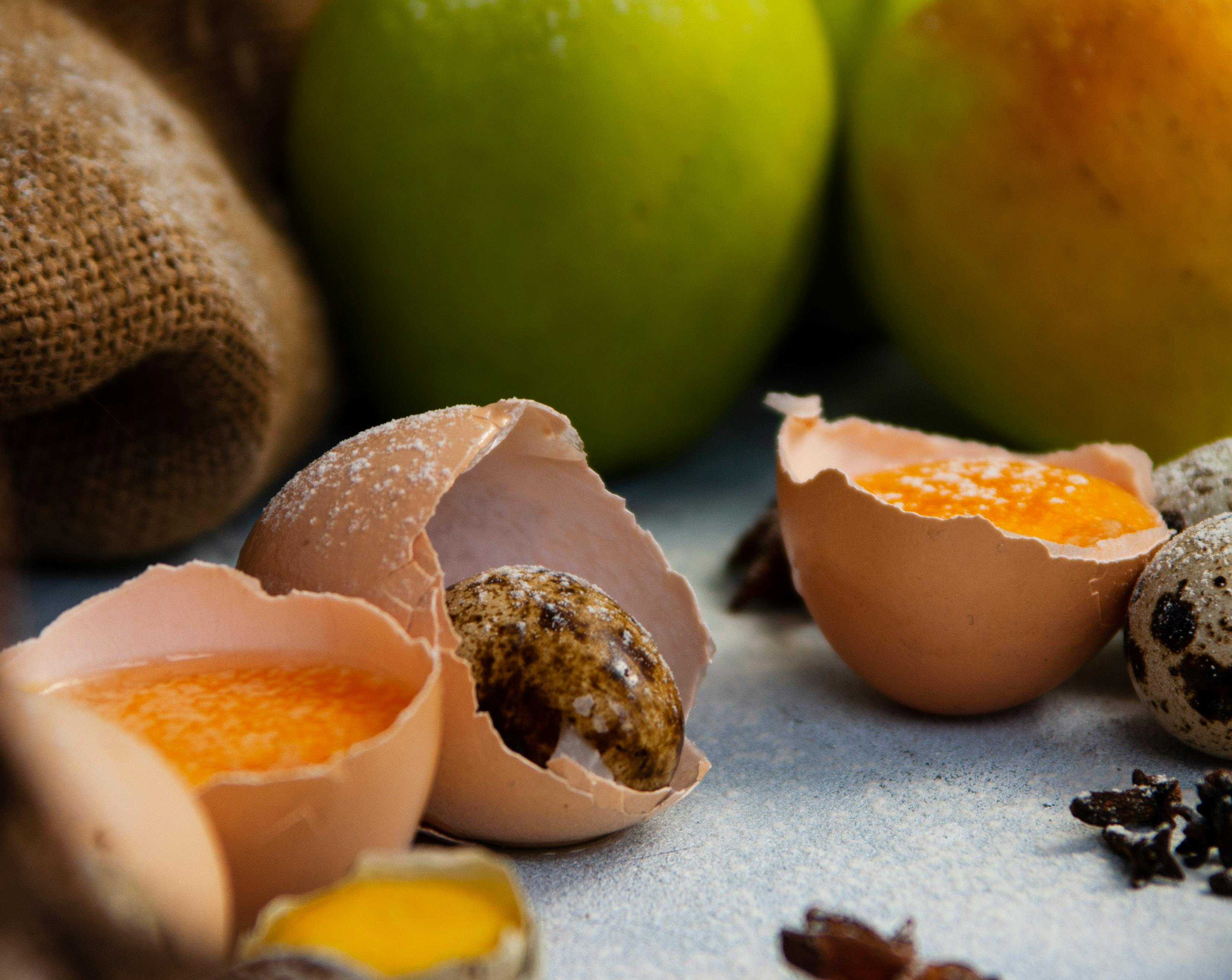 Close-up Photo of Eggs · Free Stock Photo