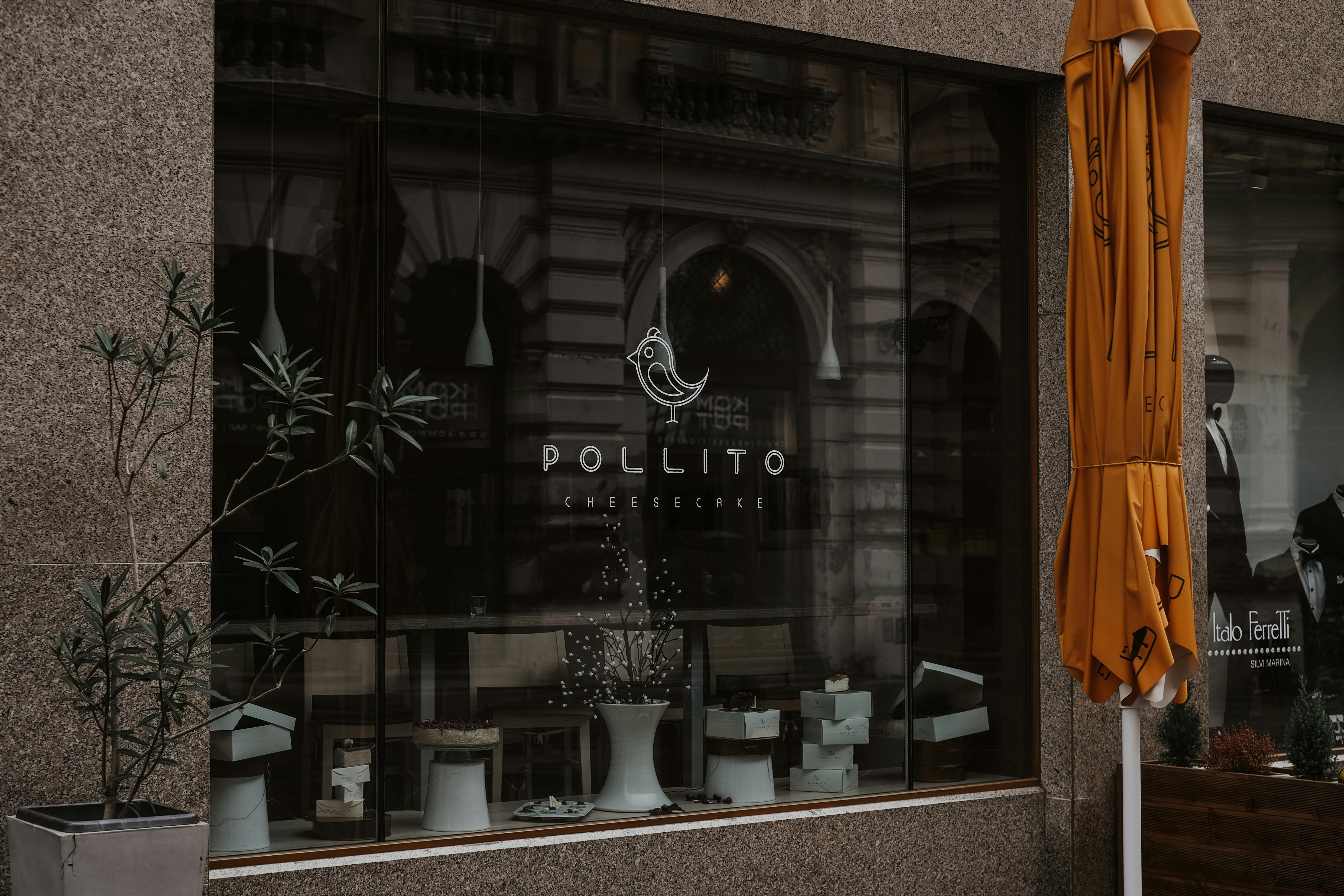 Pollito Cafe Photos, Download The BEST Free Pollito Cafe Stock Photos ...