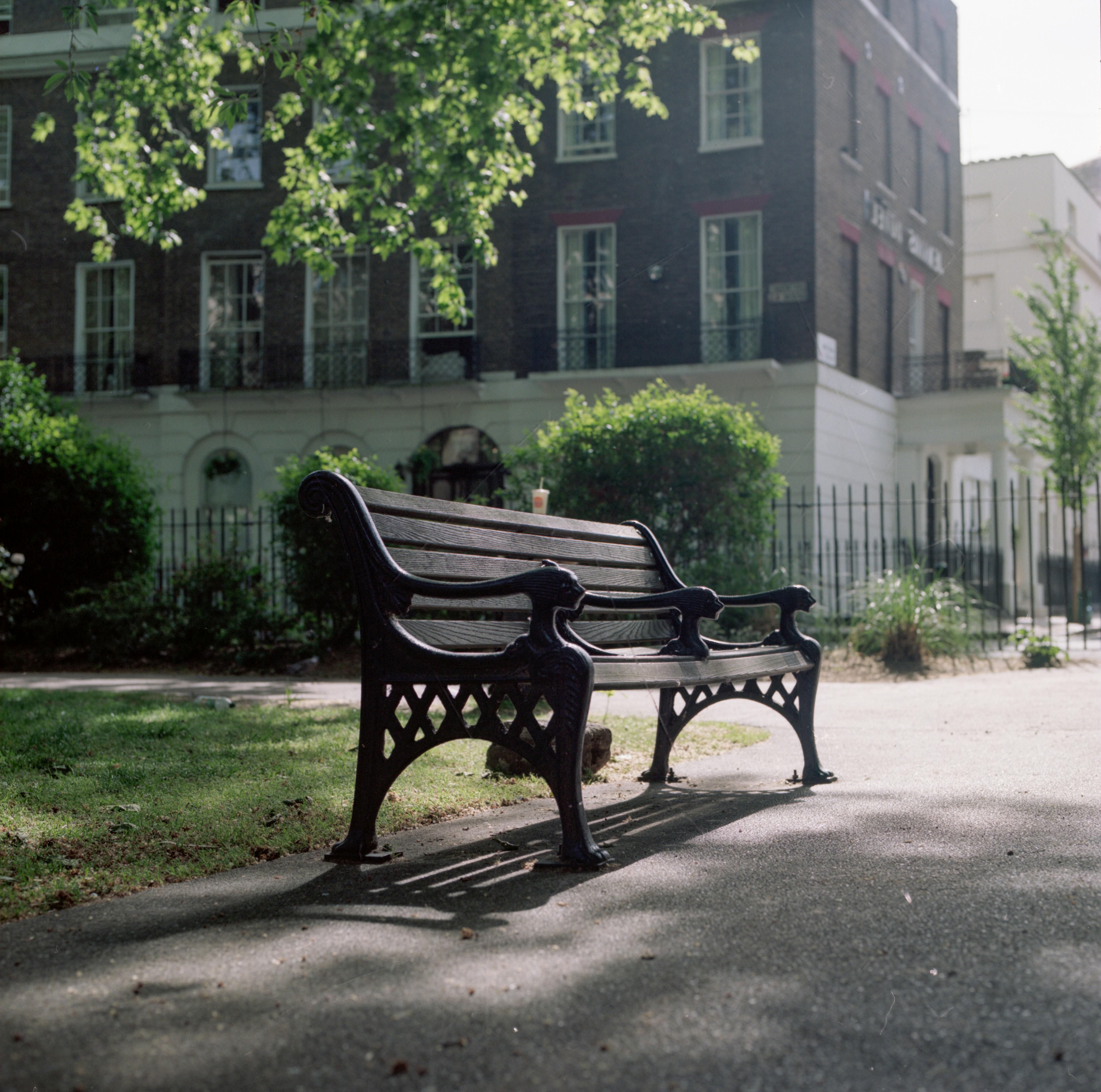 A Bench at a Park · Free Stock Photo