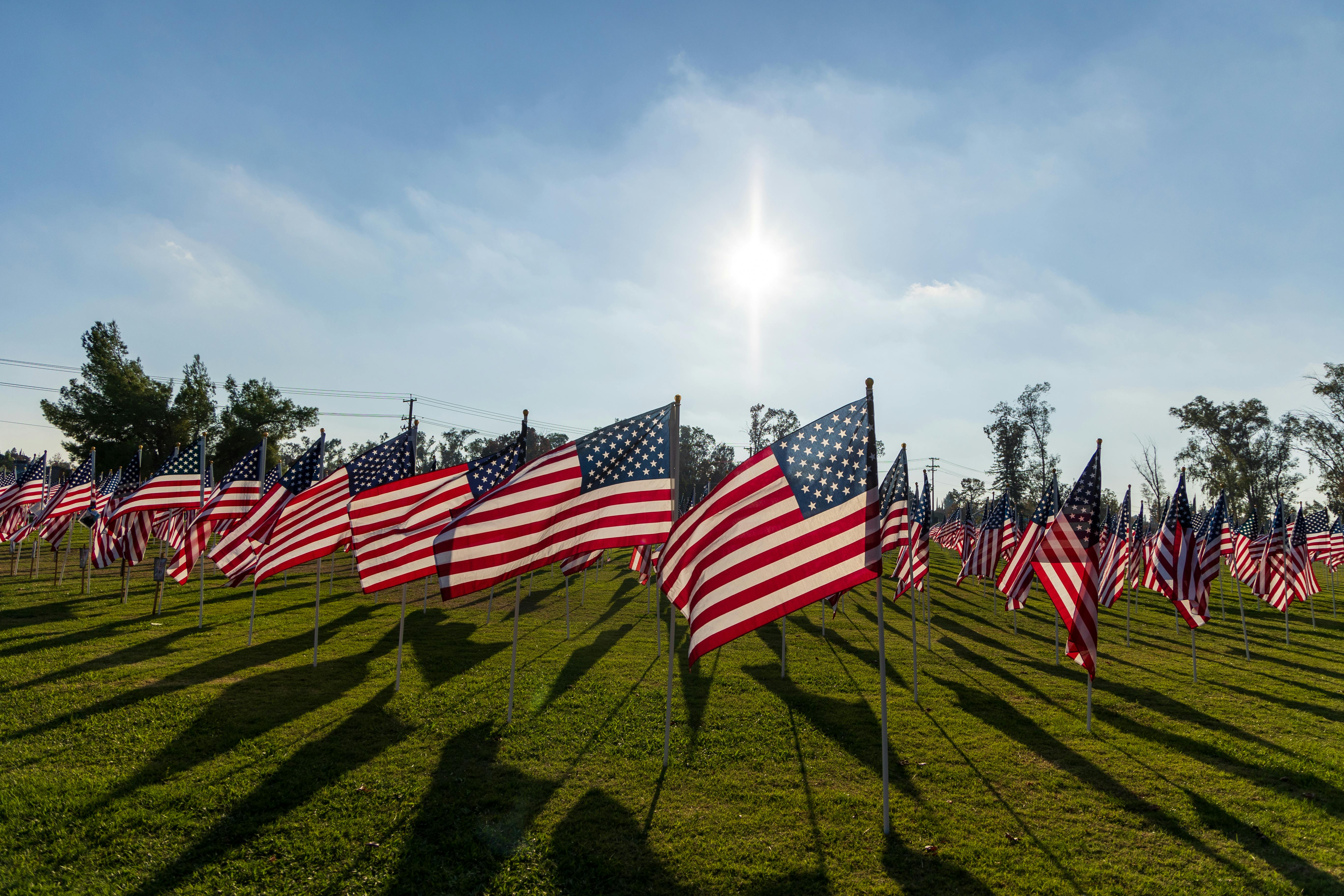 American Flags on a Grassy Field · Free Stock Photo