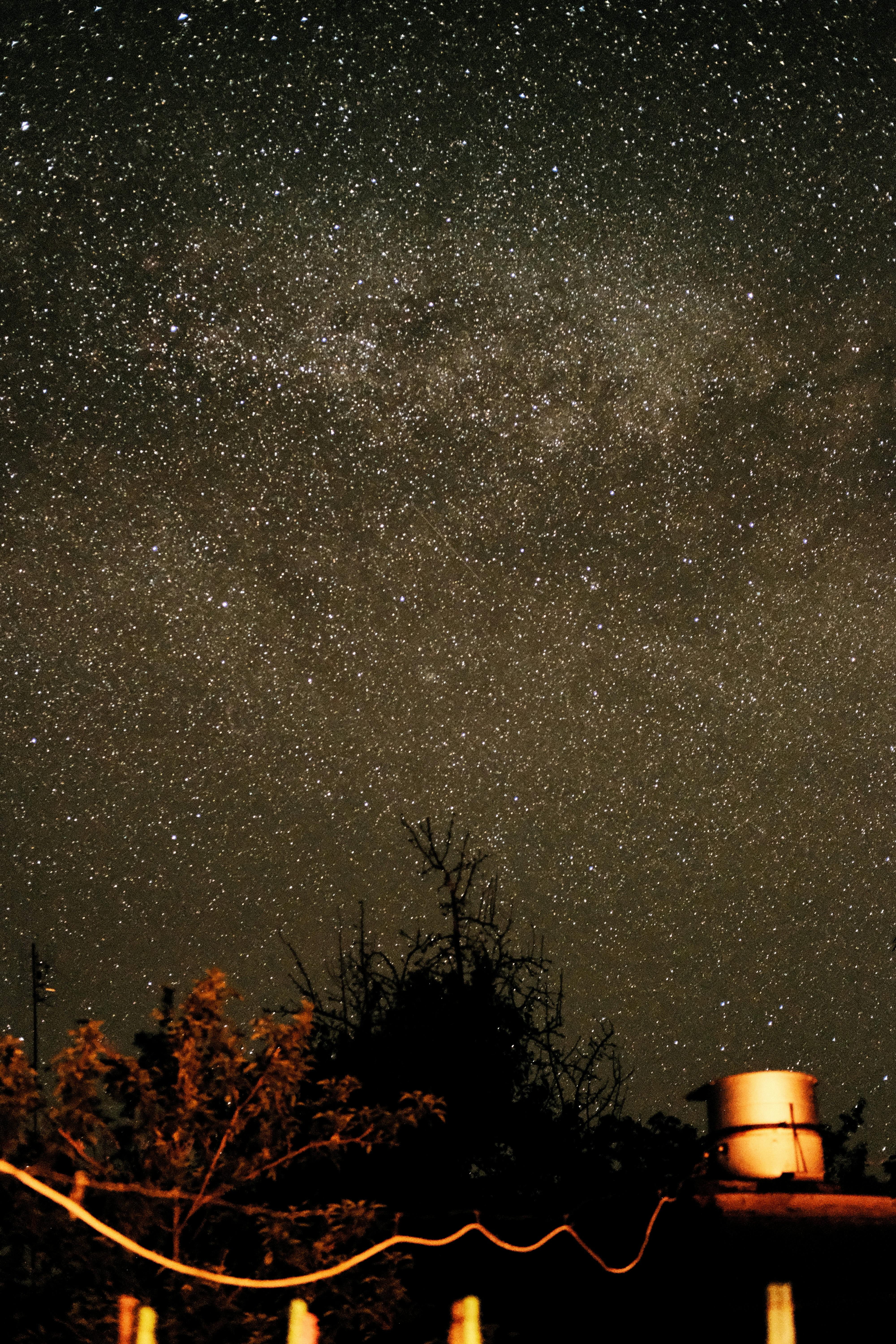 Stars Across the Night Sky · Free Stock Photo