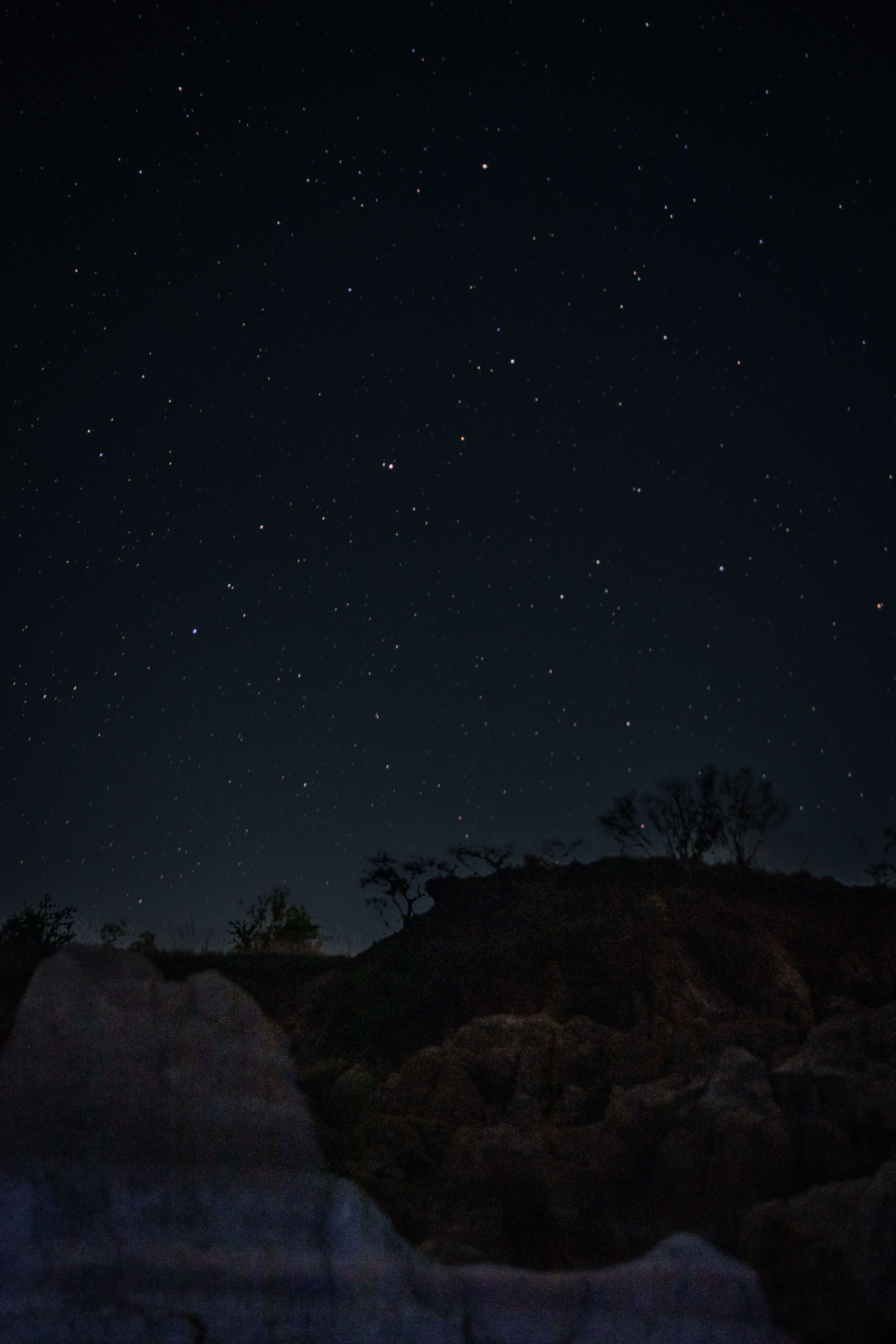 Silhouette of Trees During Night Time · Free Stock Photo