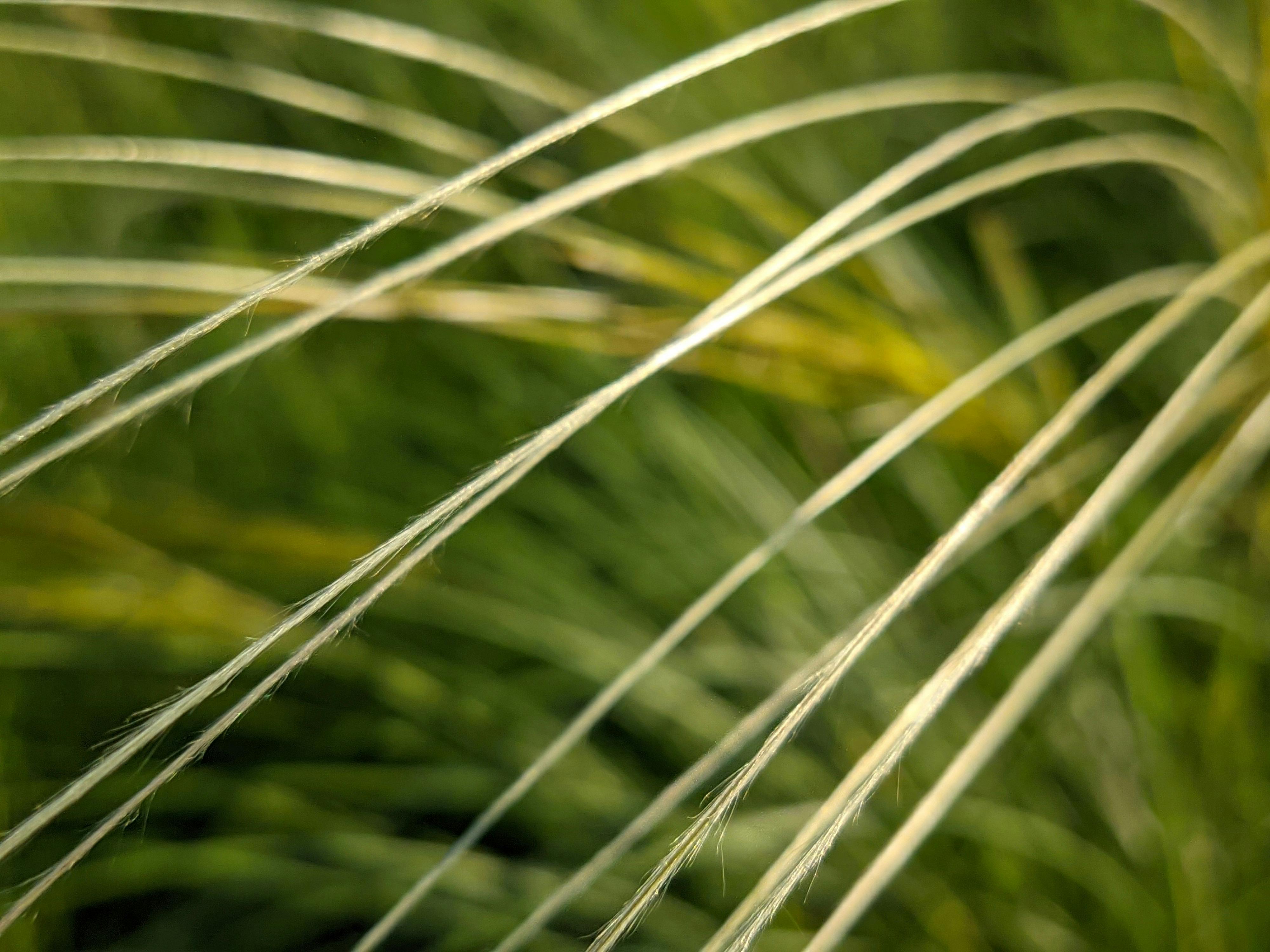 template for postcards 153 Photos & Videos Collected by Ally Ross