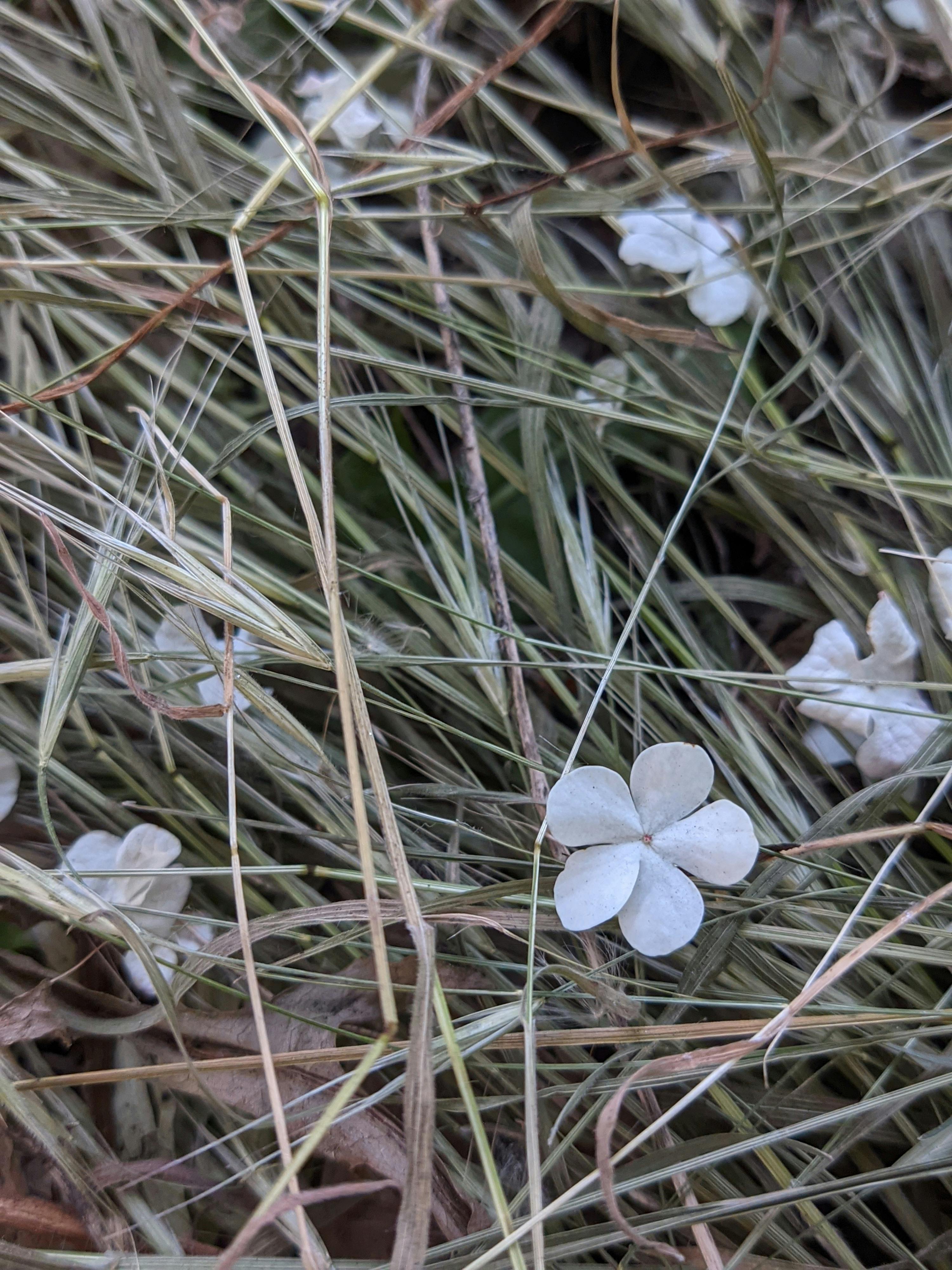 template for postcards 153 Photos & Videos Collected by Ally Ross