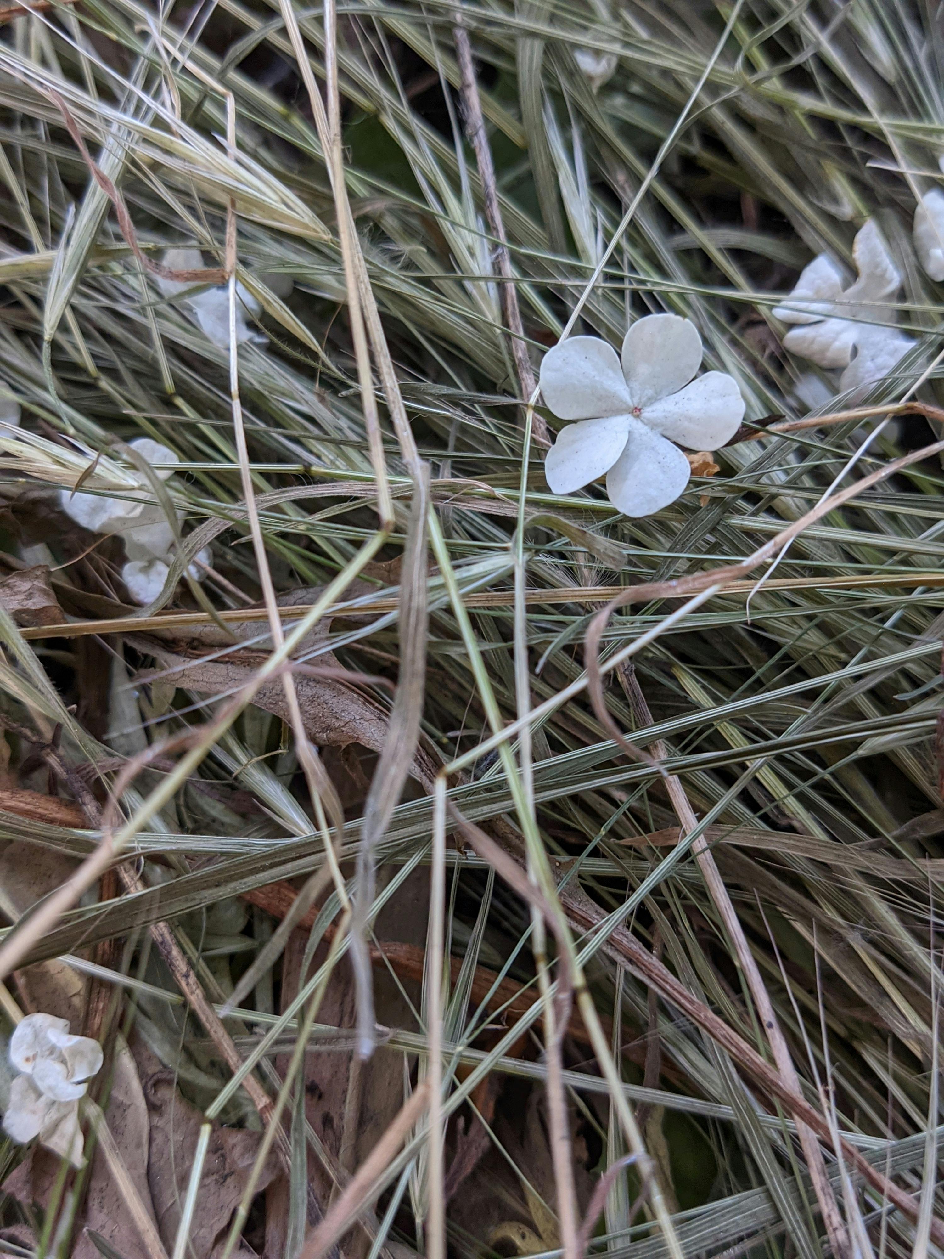 template for postcards 153 Photos & Videos Collected by Ally Ross