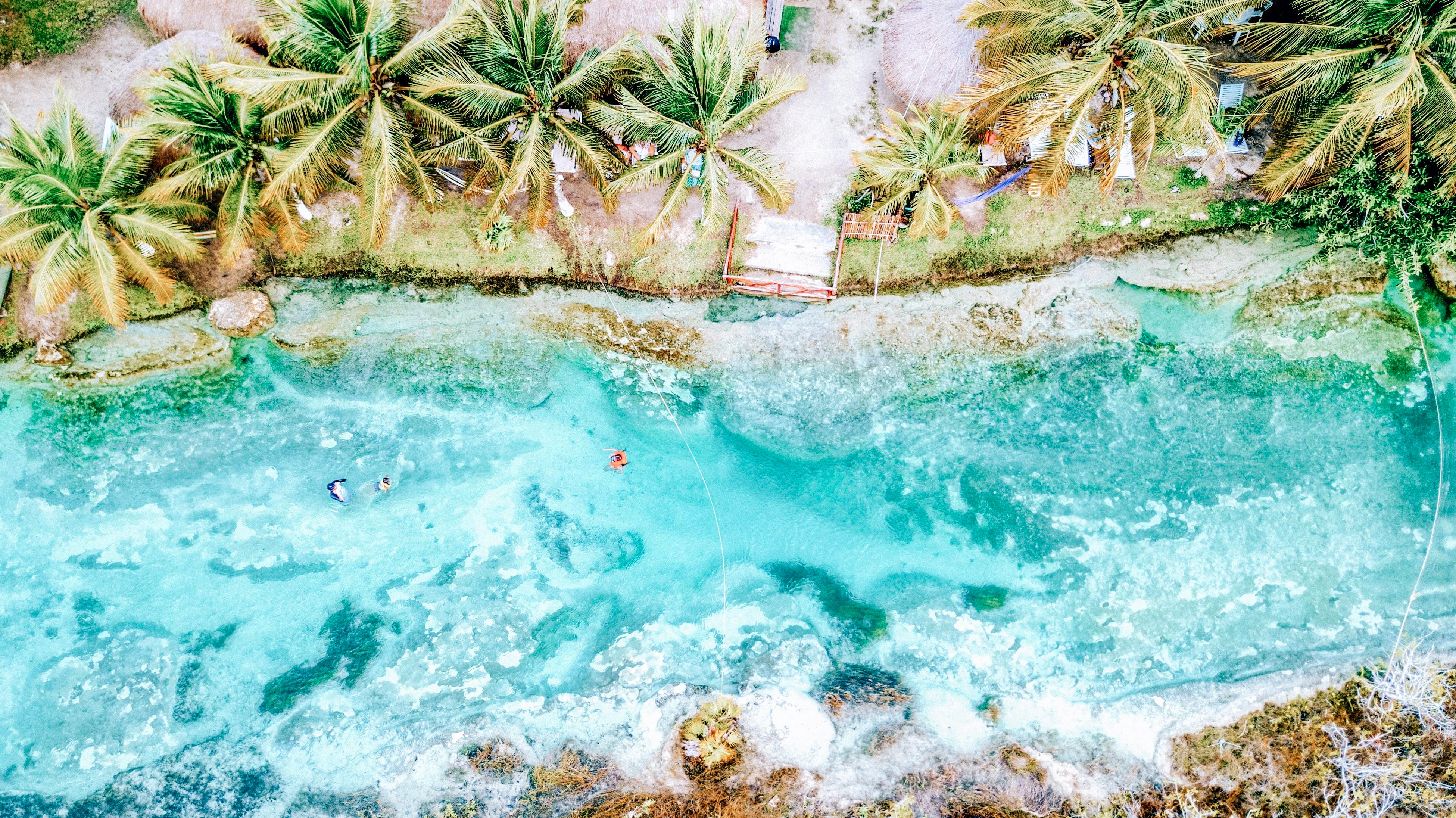 Aerial Photography of a River · Free Stock Photo