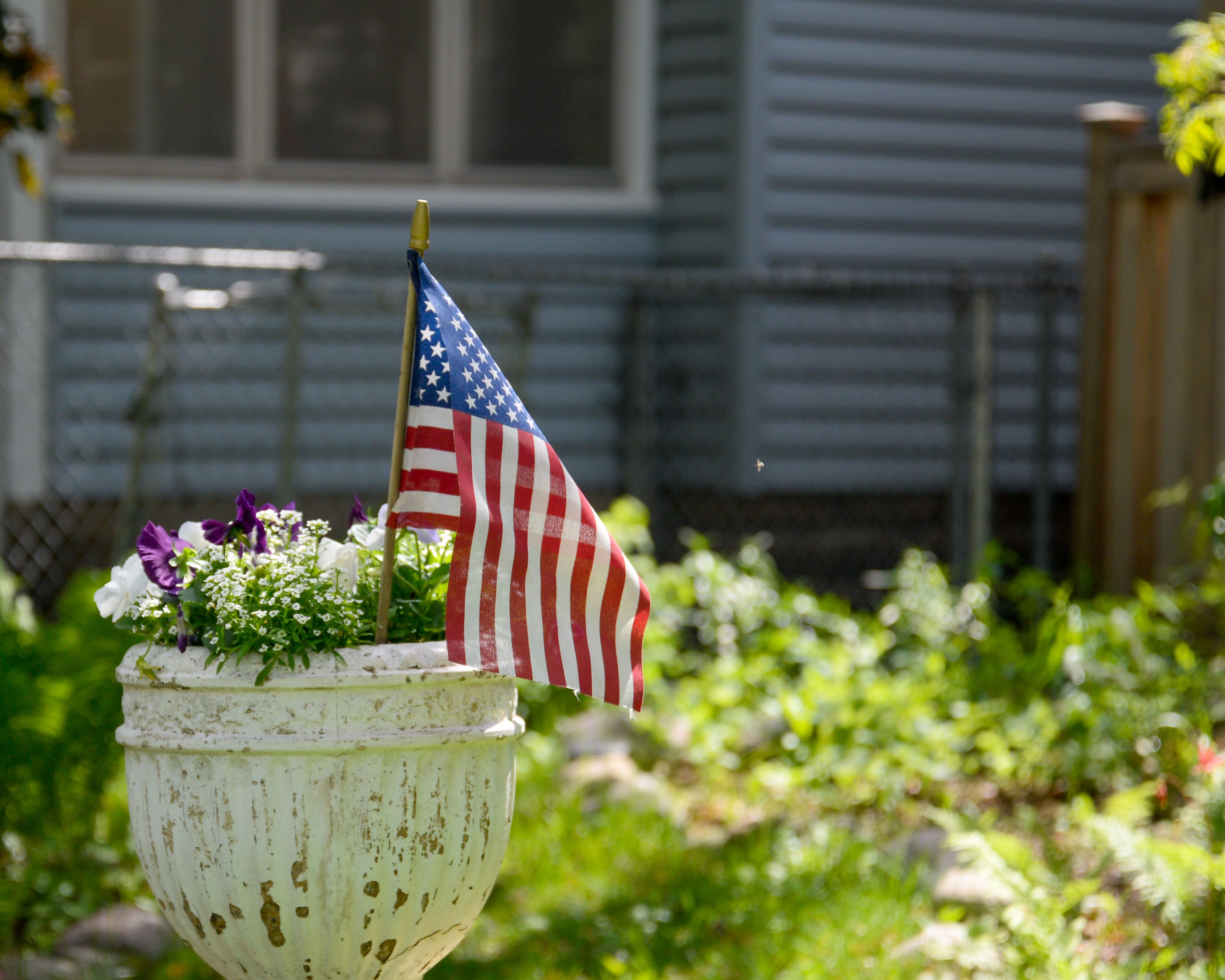 American Flag in Flower Pot · Free Stock Photo