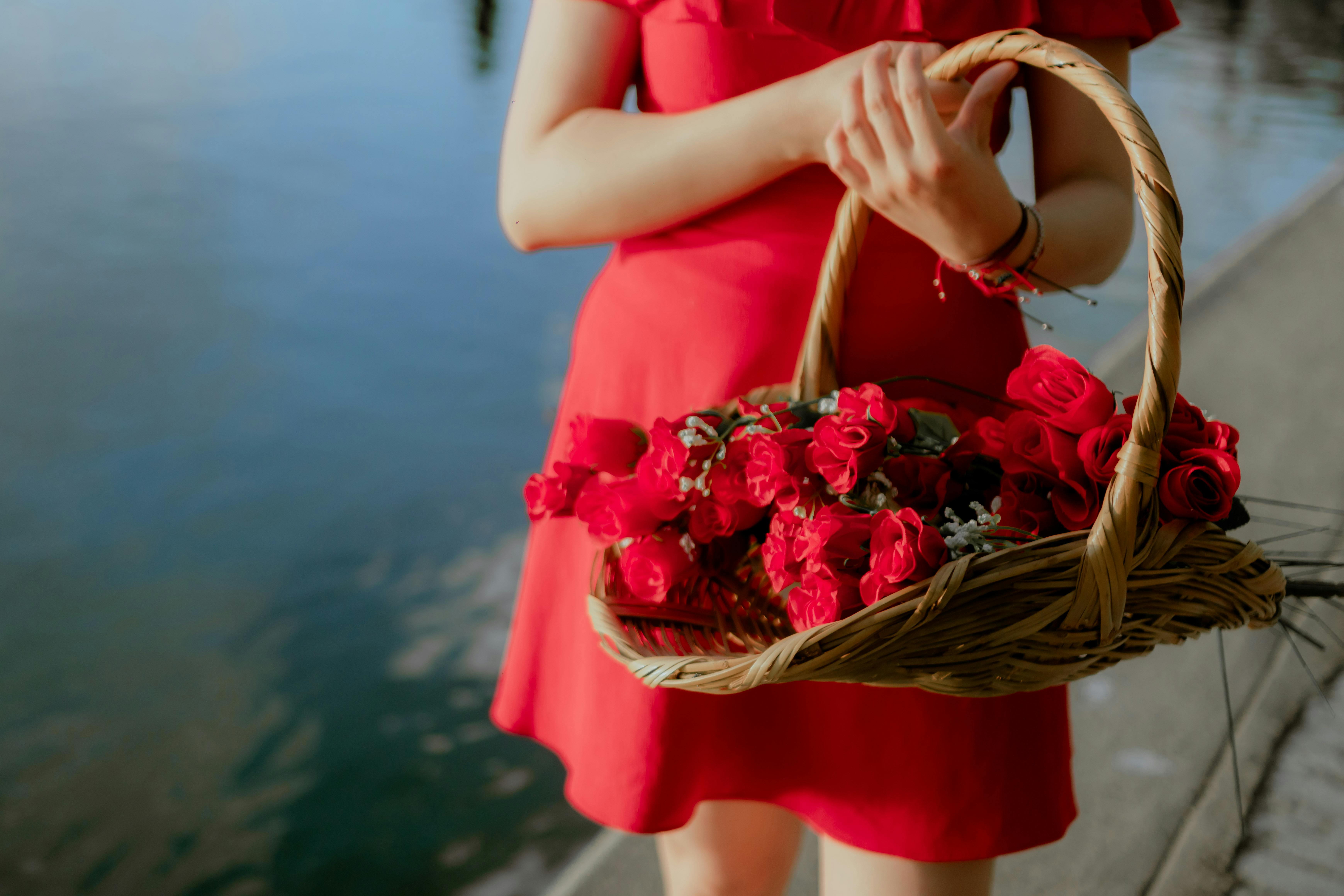Man Giving Red Roses to the Woman · Free Stock Photo