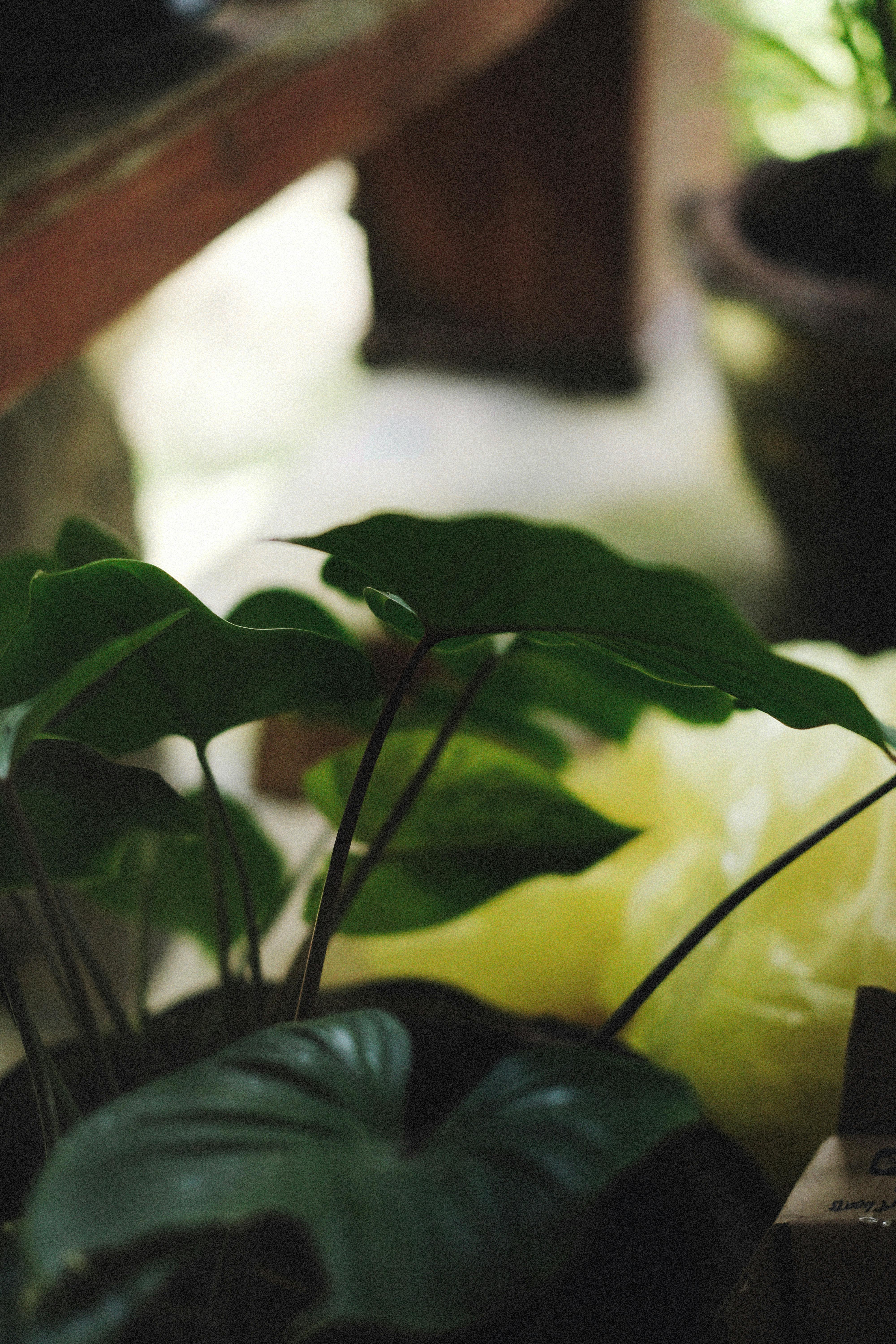 Photographie En Gros Plan Du Café Moulu Dans Un Sachet Brun · Photo ...