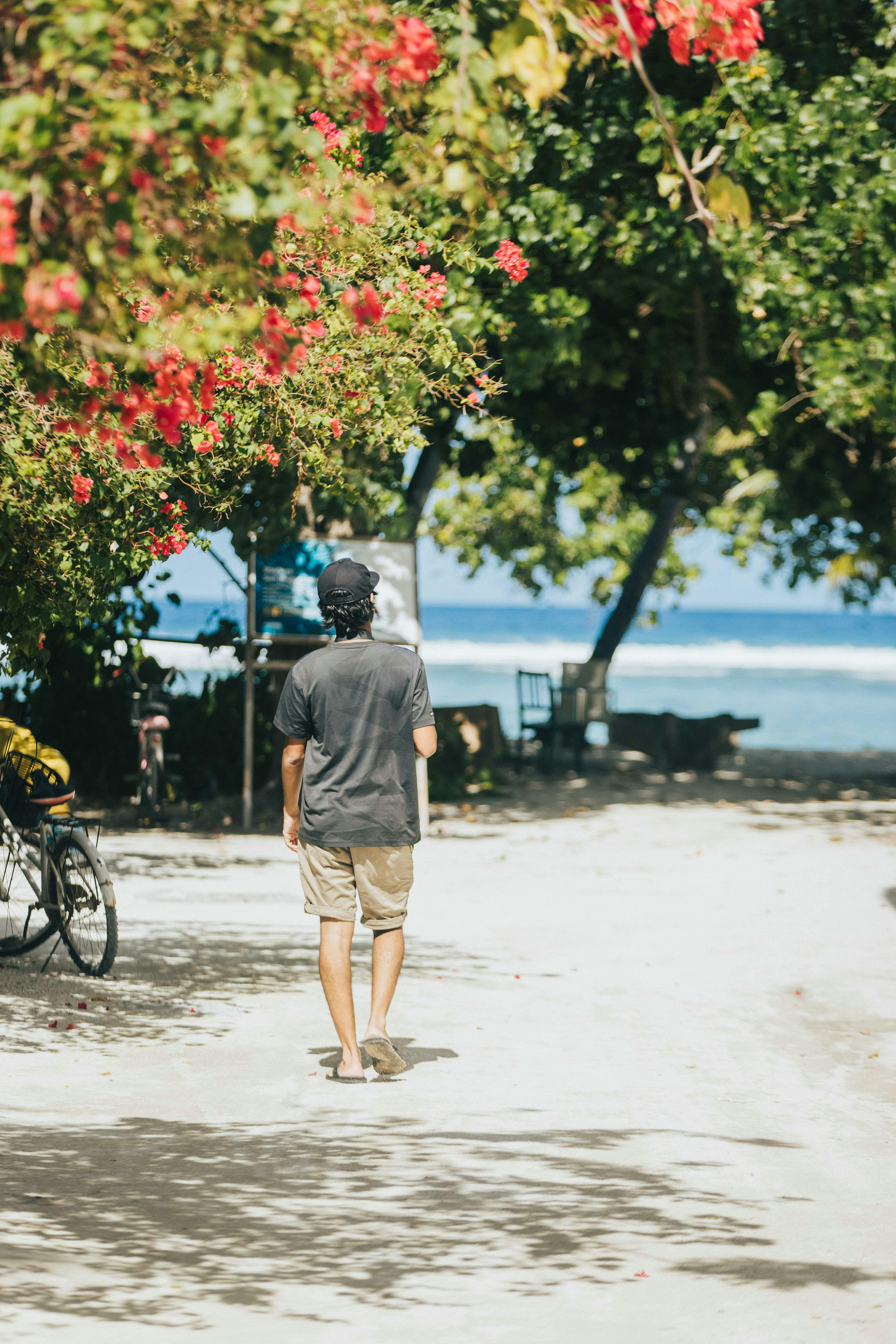 Back View of a Person Walking on the Beach Shore · Free Stock Photo