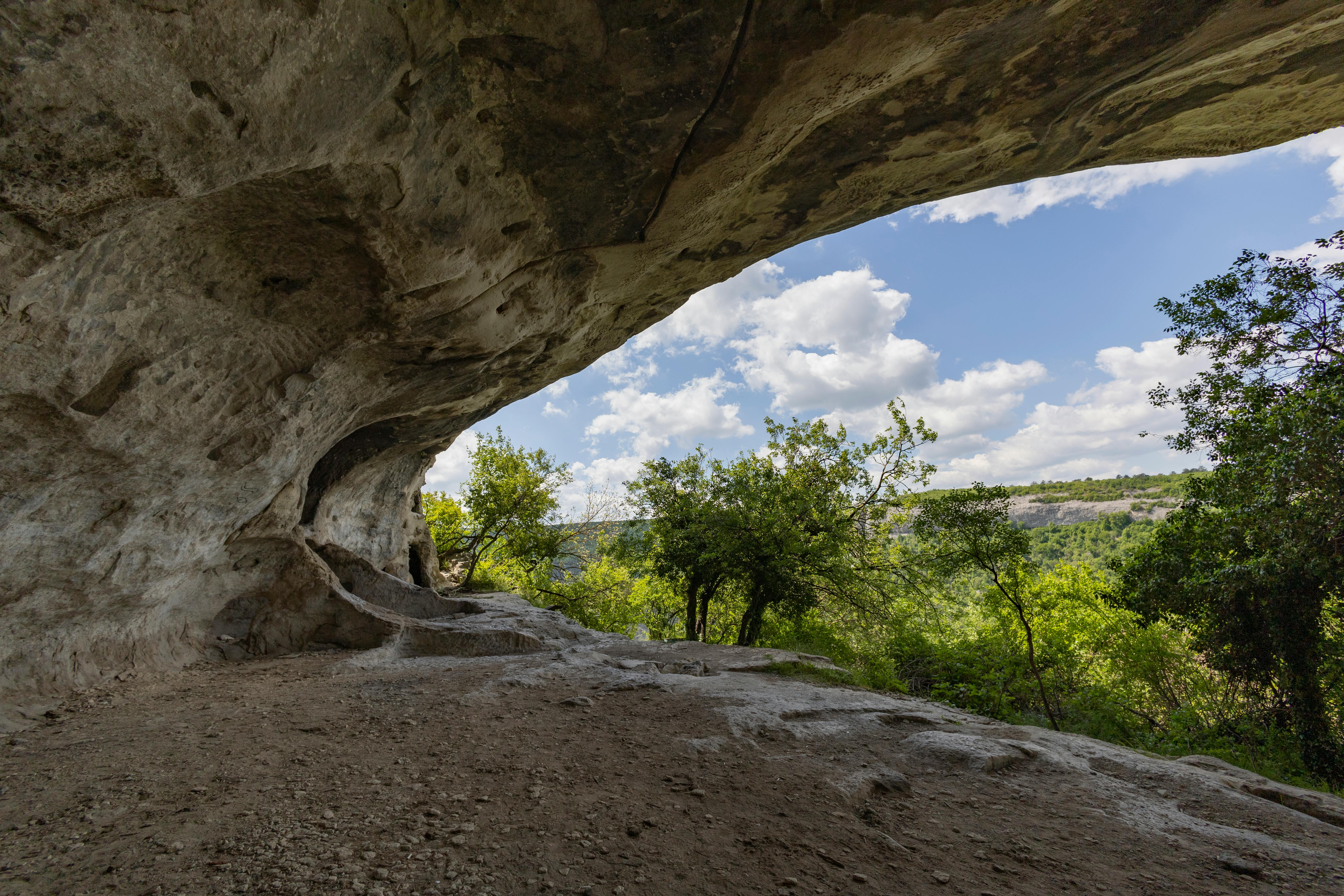 Cave Near Trees · Free Stock Photo