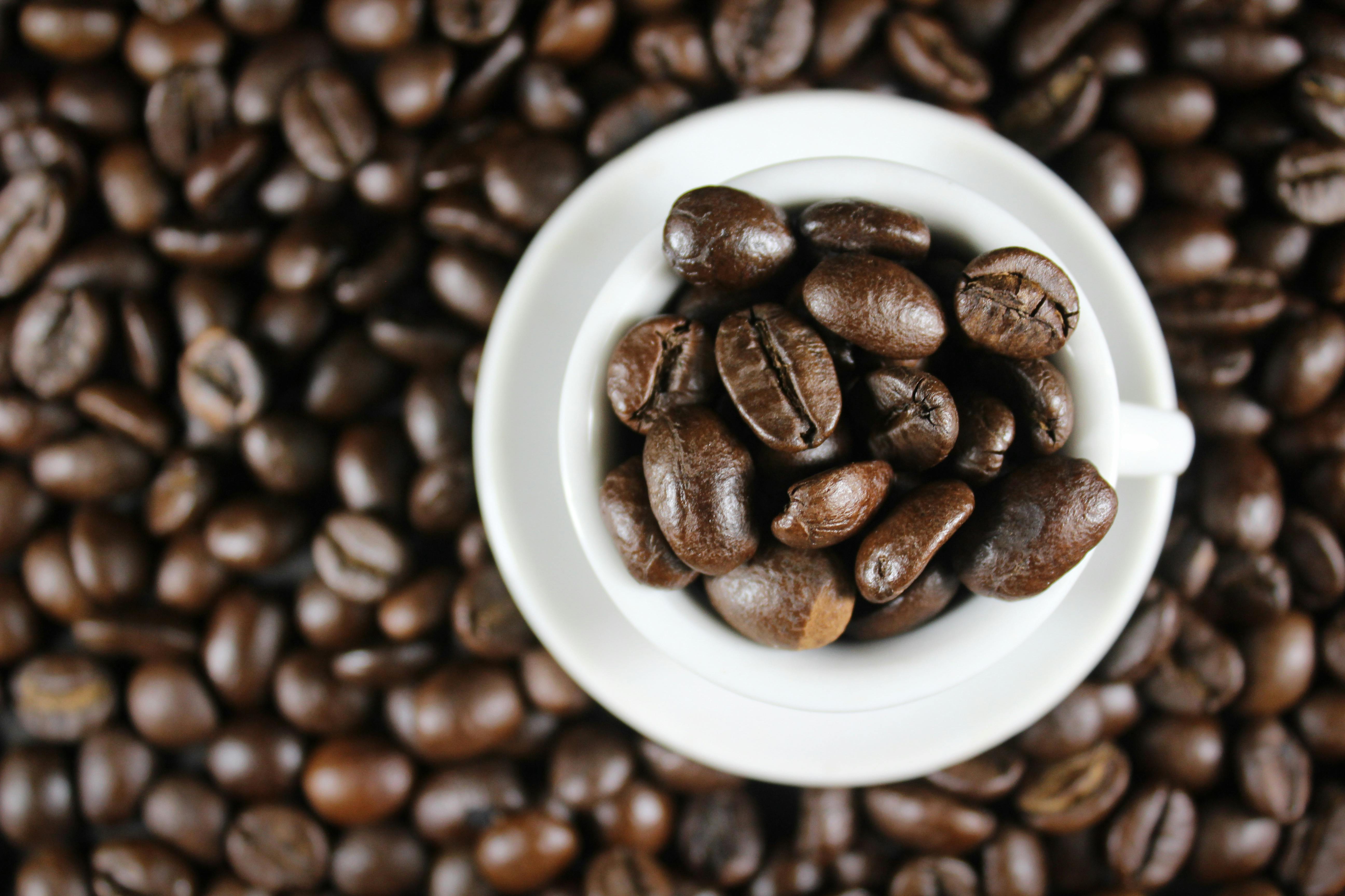 Coffee Beans in White Ceramic Cup · Free Stock Photo