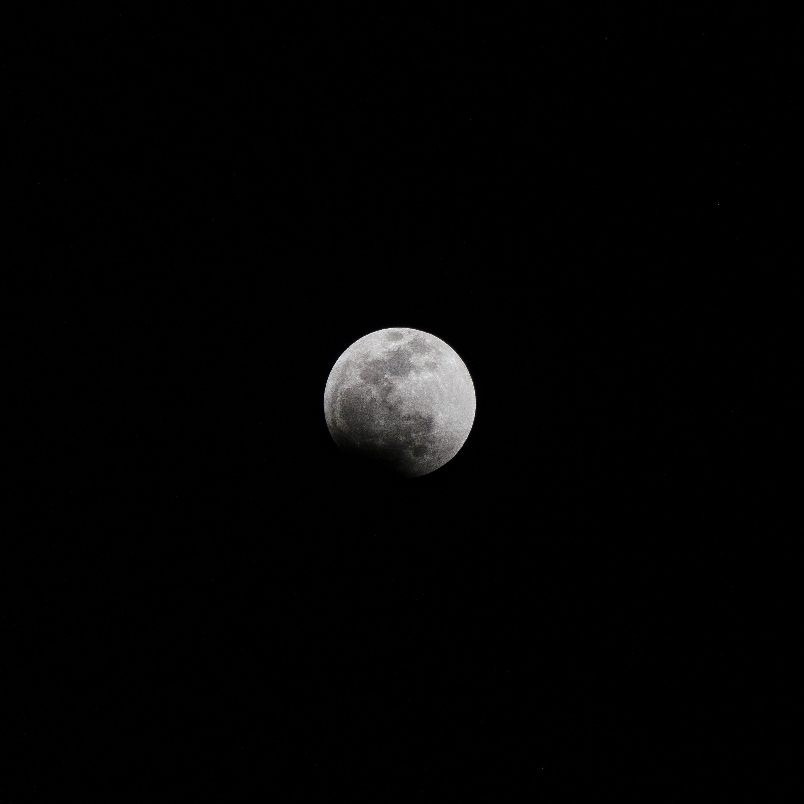 Full Moon in the Dark Night Sky · Free Stock Photo