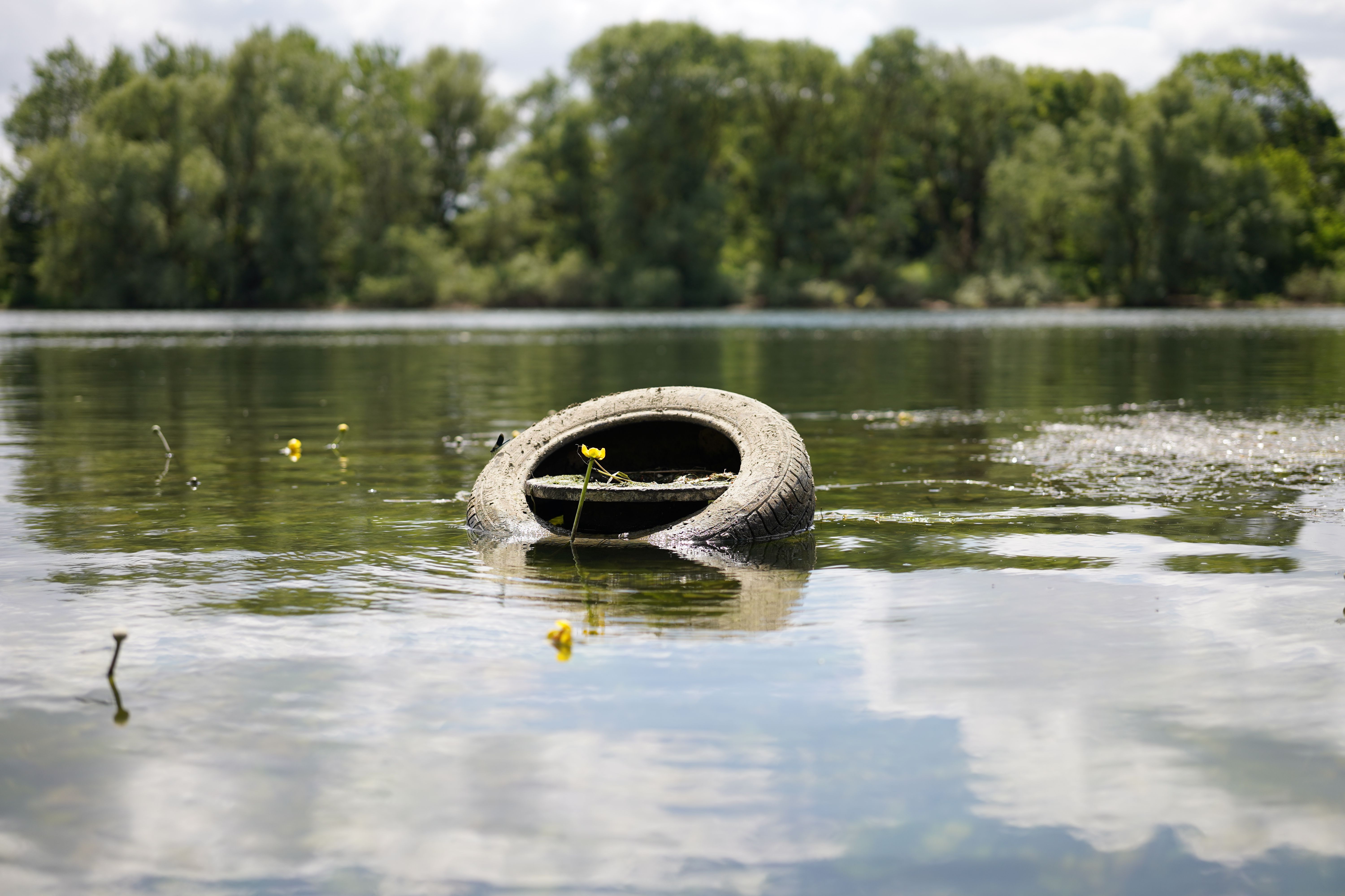 Tire Floating on Lake Water · Free Stock Photo