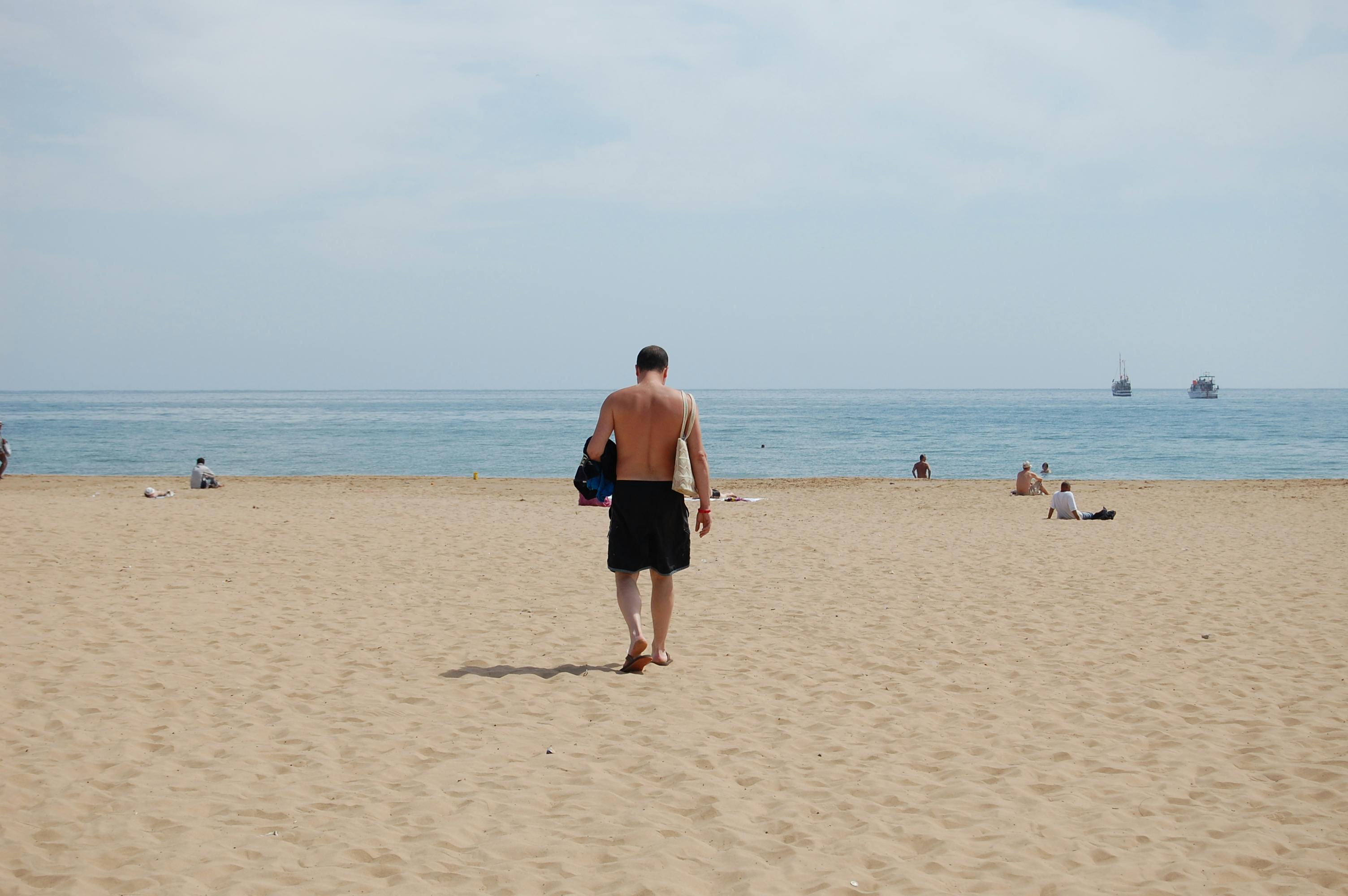 Back View of a Man on the Beach · Free Stock Photo