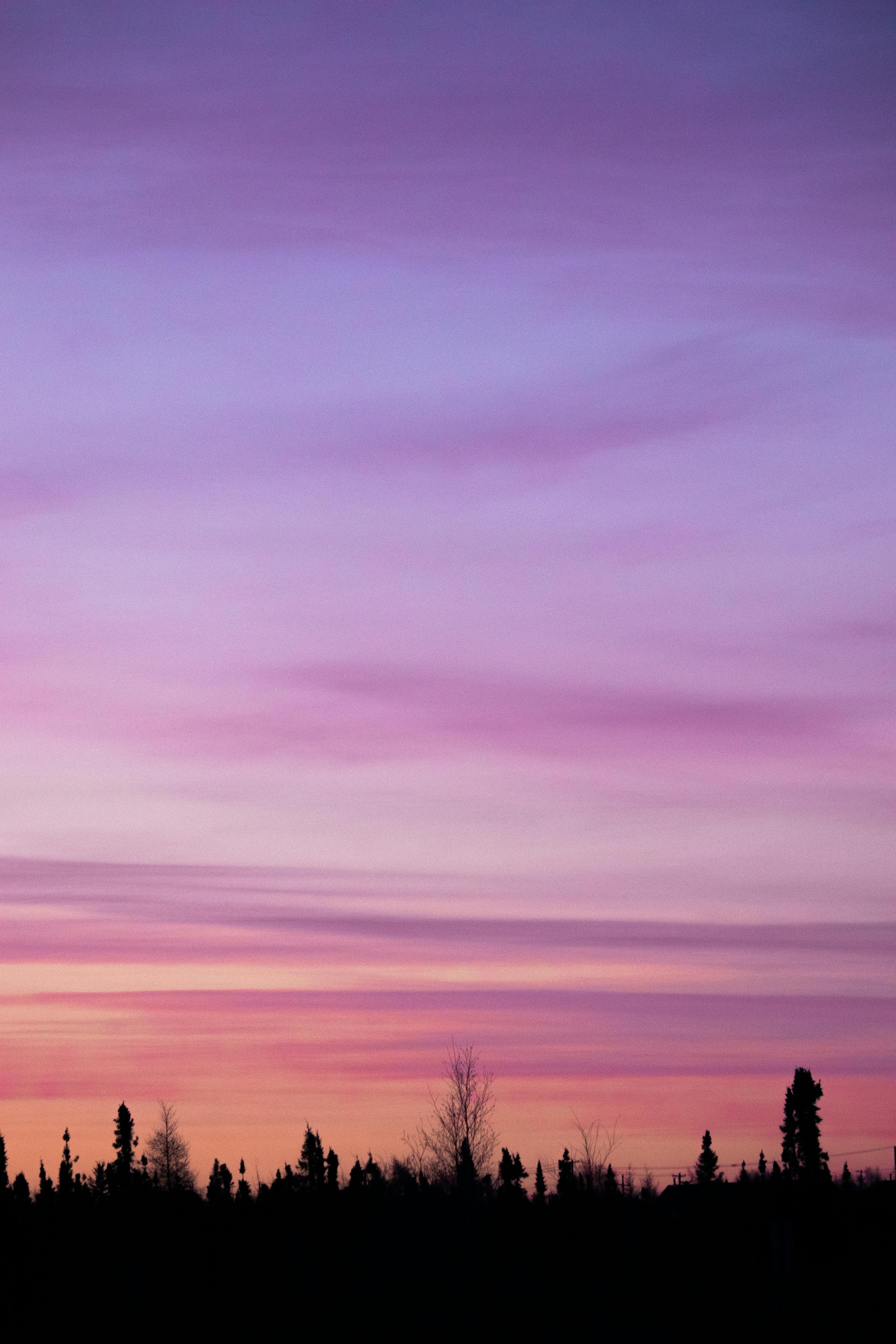 Evening Photos, Download The BEST Free Evening Stock Photos & HD Images