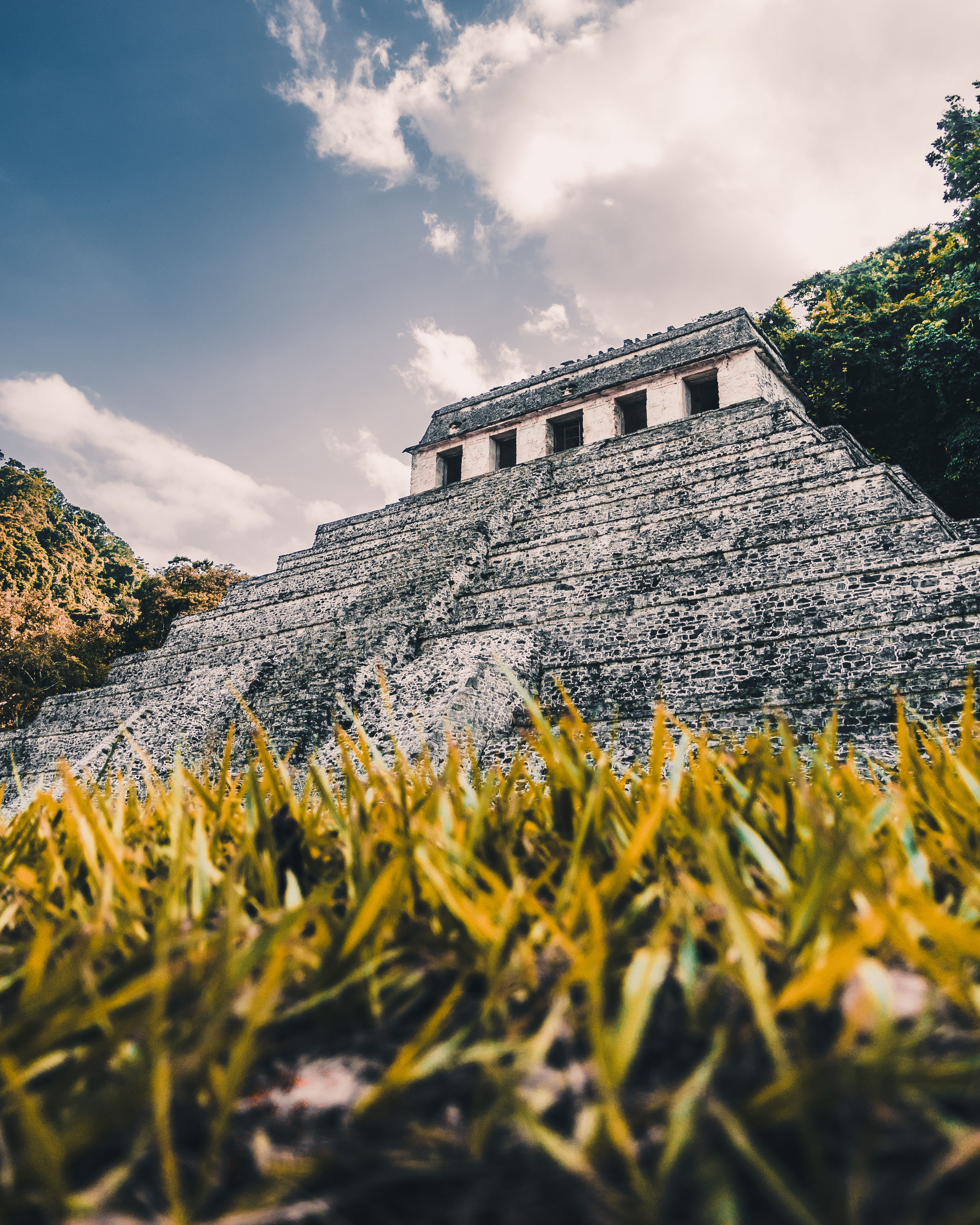 Palenque Mexico Photos, Download The BEST Free Palenque Mexico Stock ...