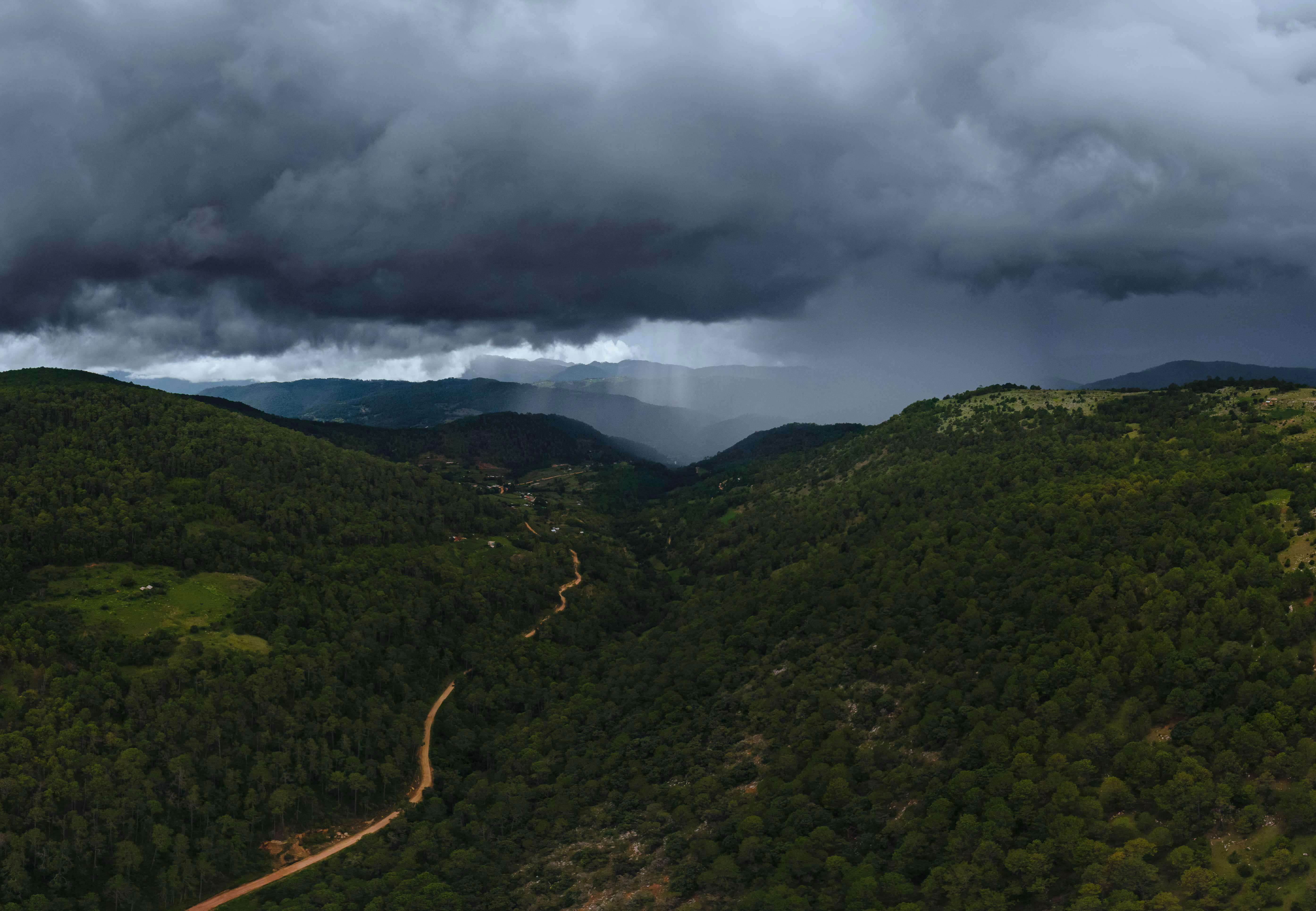 Rain Storm Forest Photos, Download The BEST Free Rain Storm Forest ...