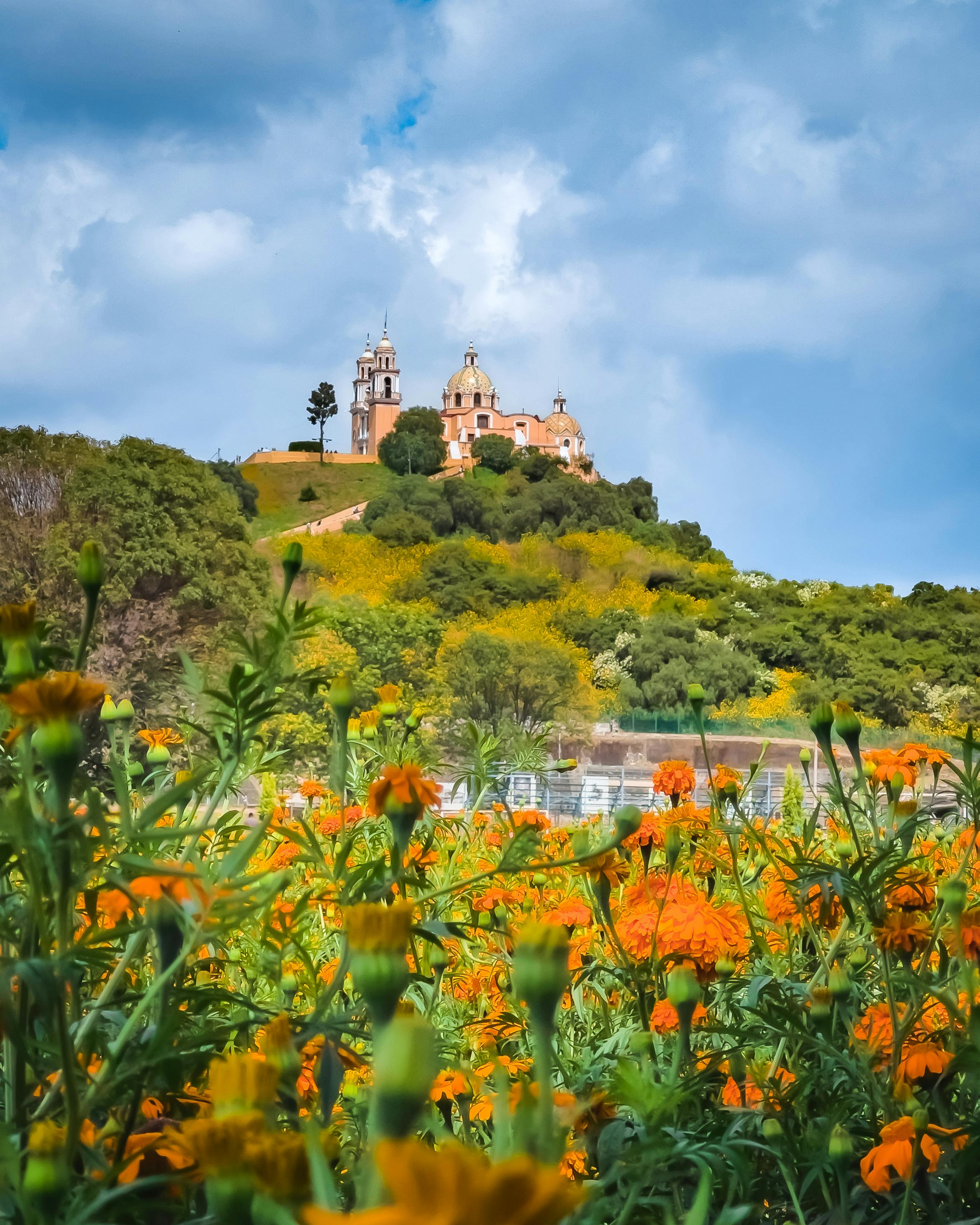 19+ Fotos y Imágenes de Cholula Gratis · Banco de Fotos Gratis