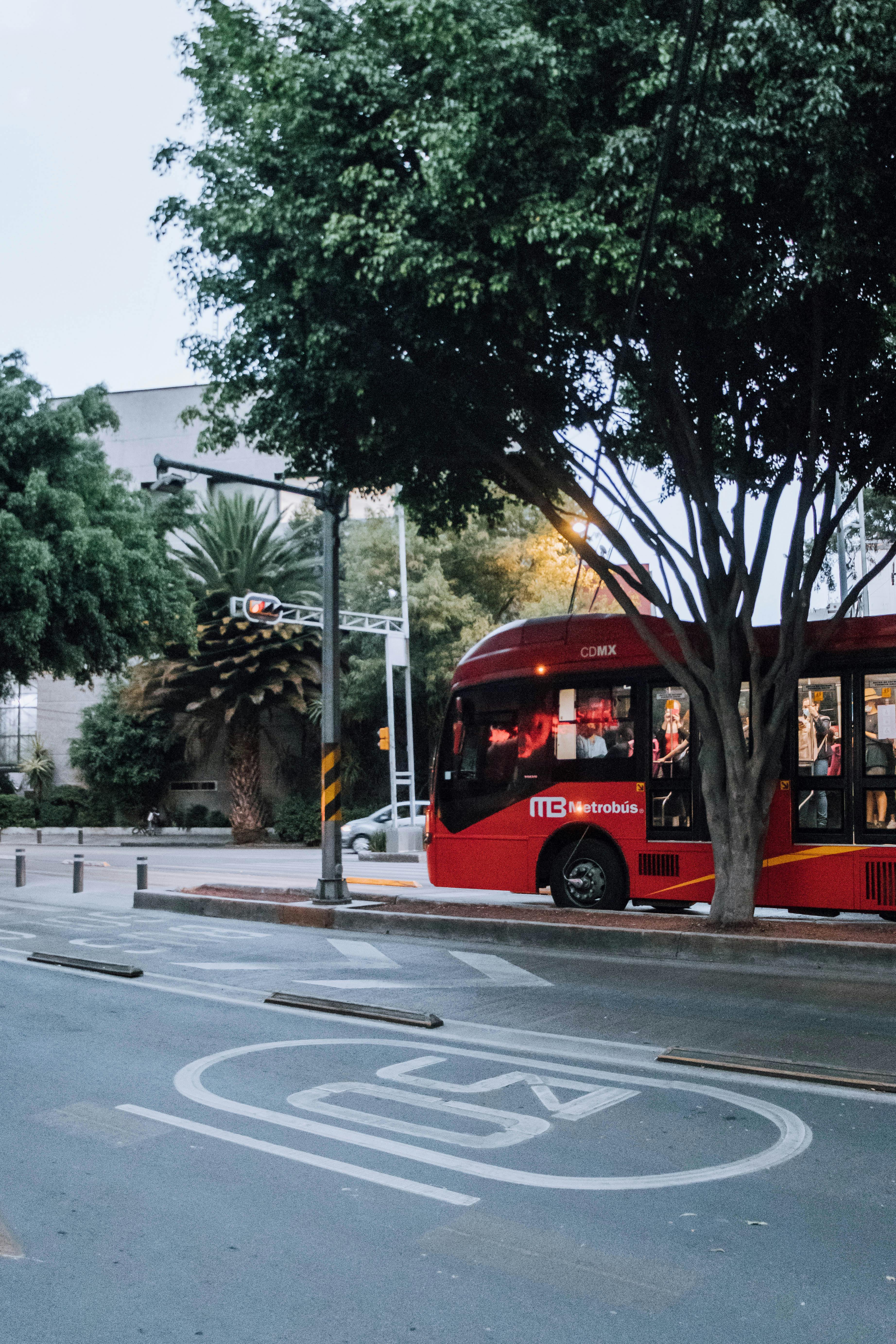 Photo Of A Bus · Free Stock Photo