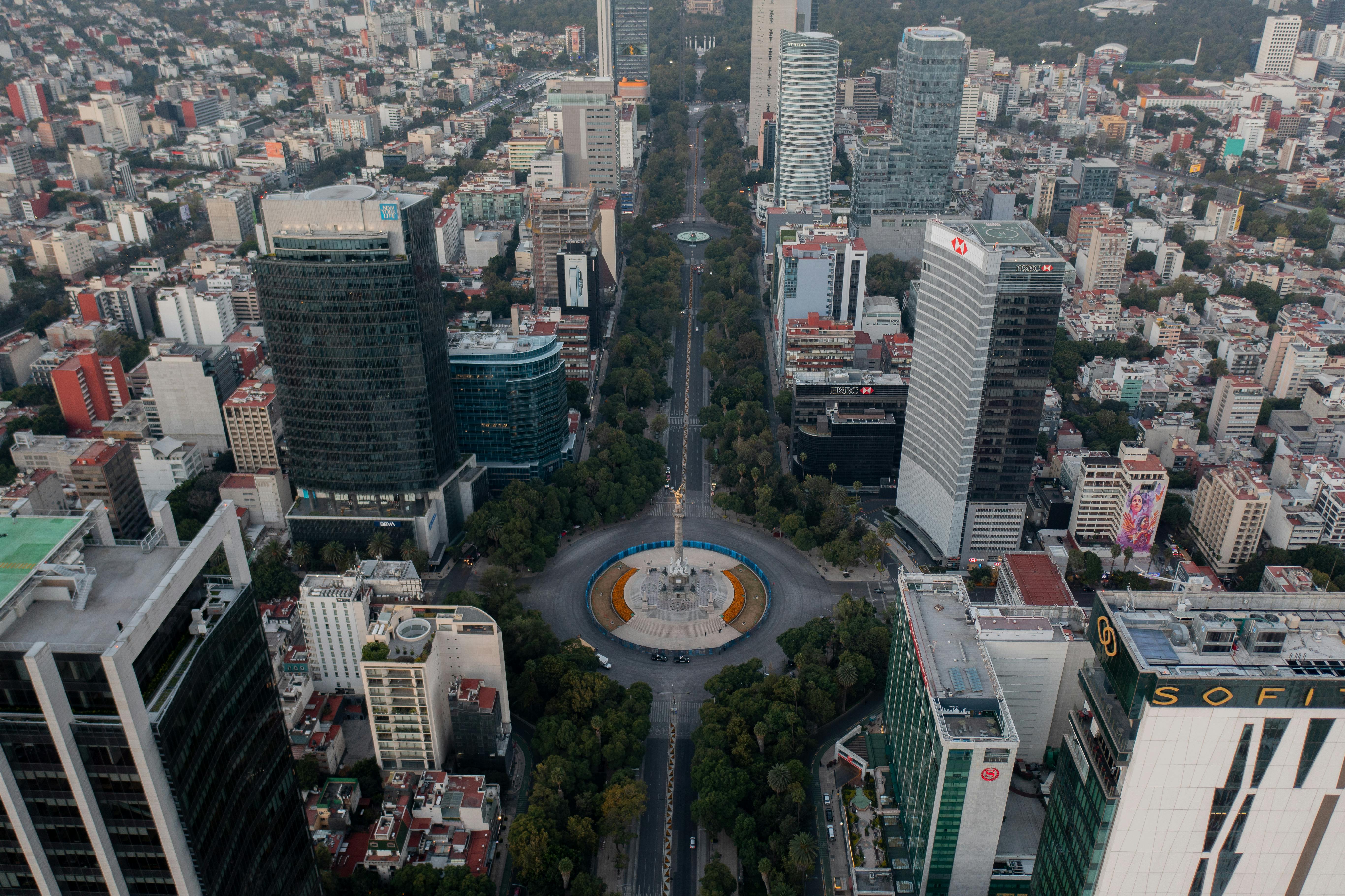 Foto de stock gratuita sobre arboles, ciudad, ciudad de méxico ...