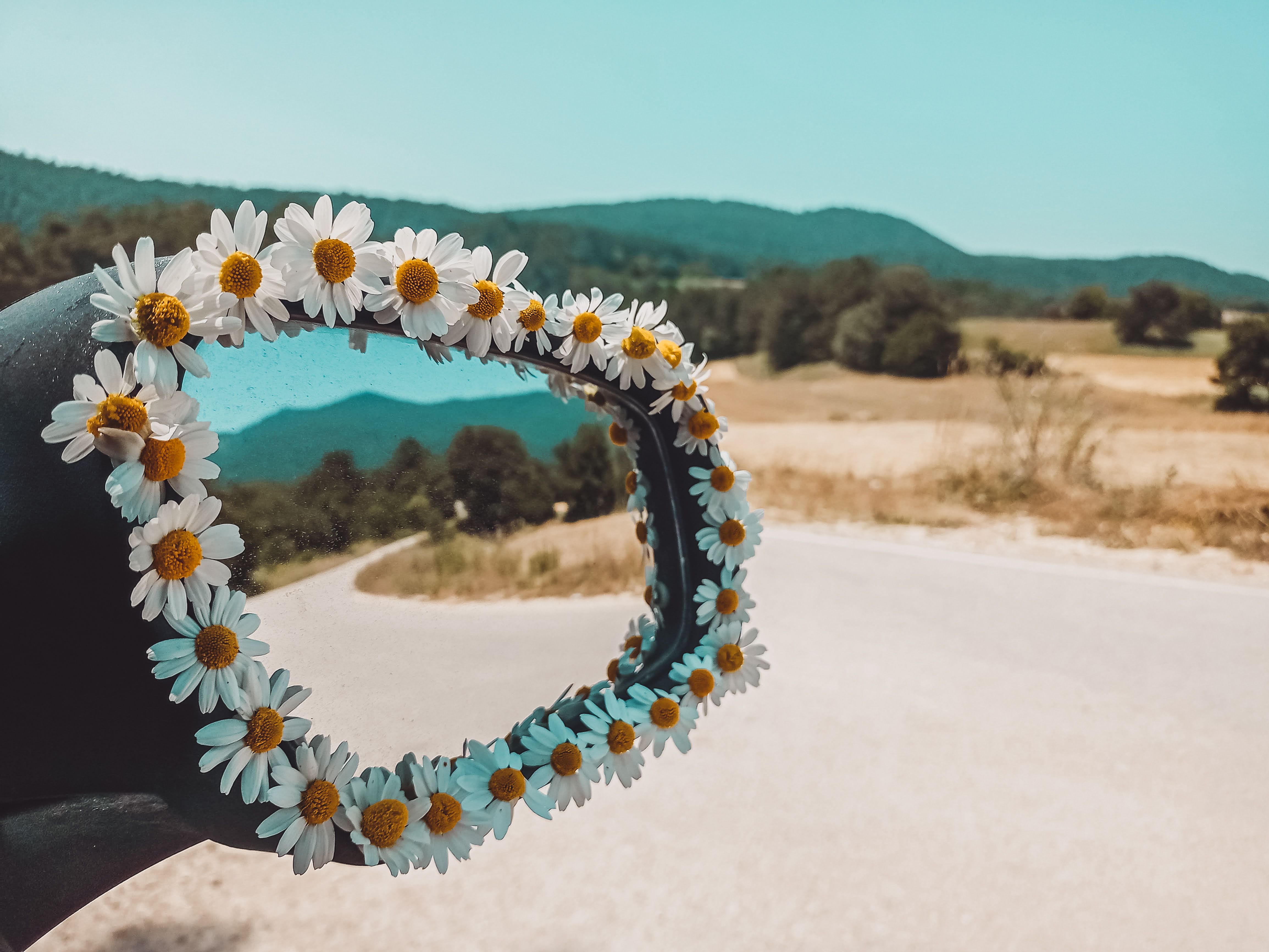 Close-up of a Side Mirror Lined with Daisies · Free Stock Photo