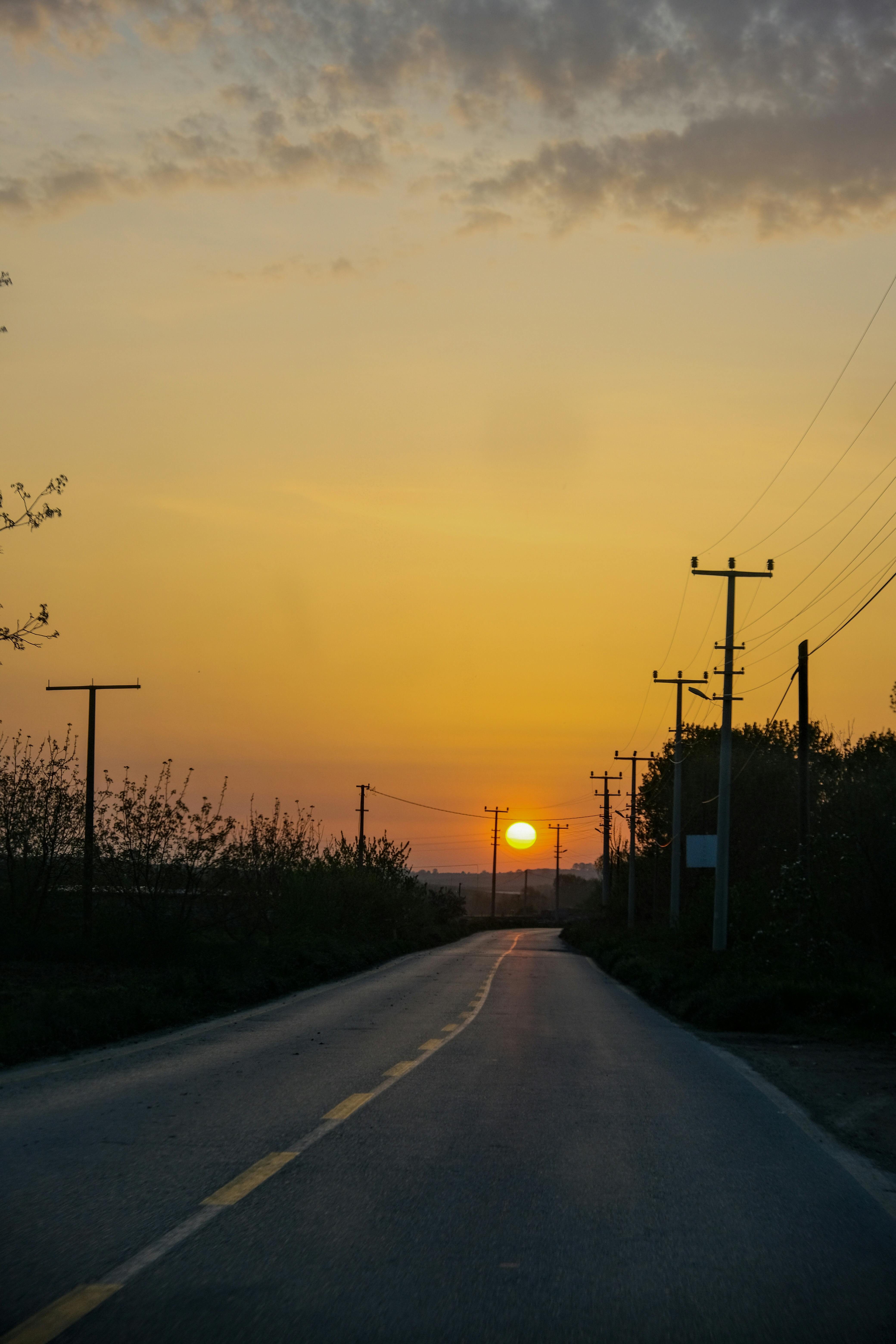 Concrete Road Between Trees During Sunset · Free Stock Photo