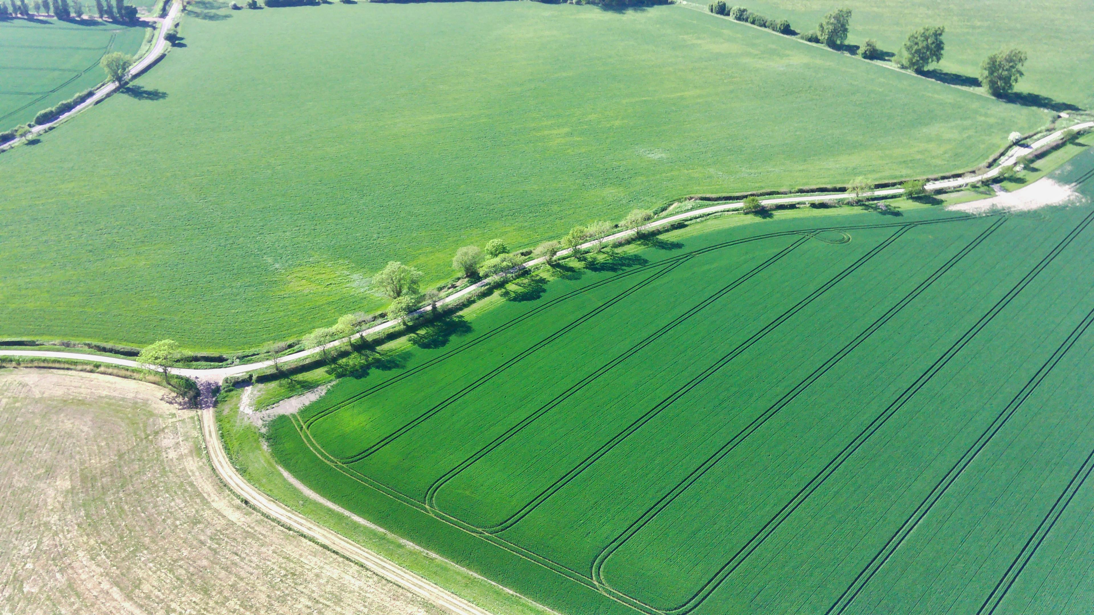 Aerial View of a Cropland · Free Stock Photo
