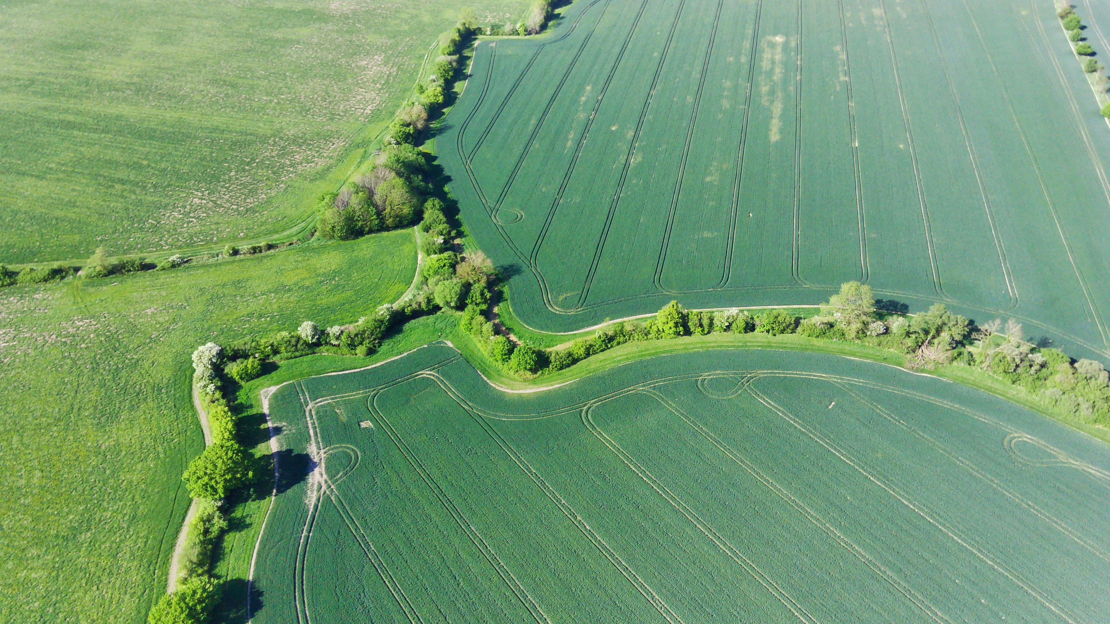 Aerial View of Houses in the Grassland · Free Stock Photo