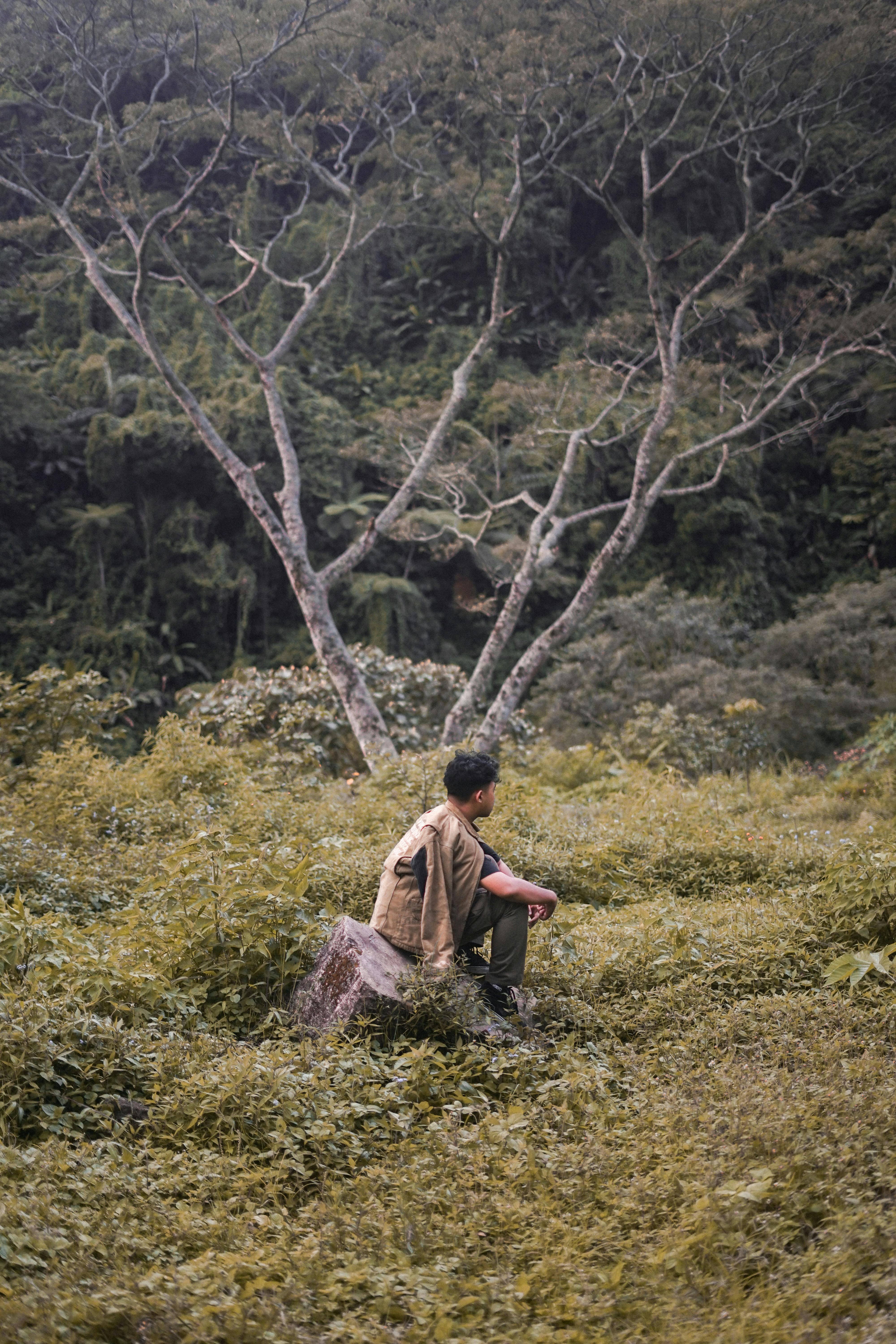 A Person Sitting in the Wilderness · Free Stock Photo