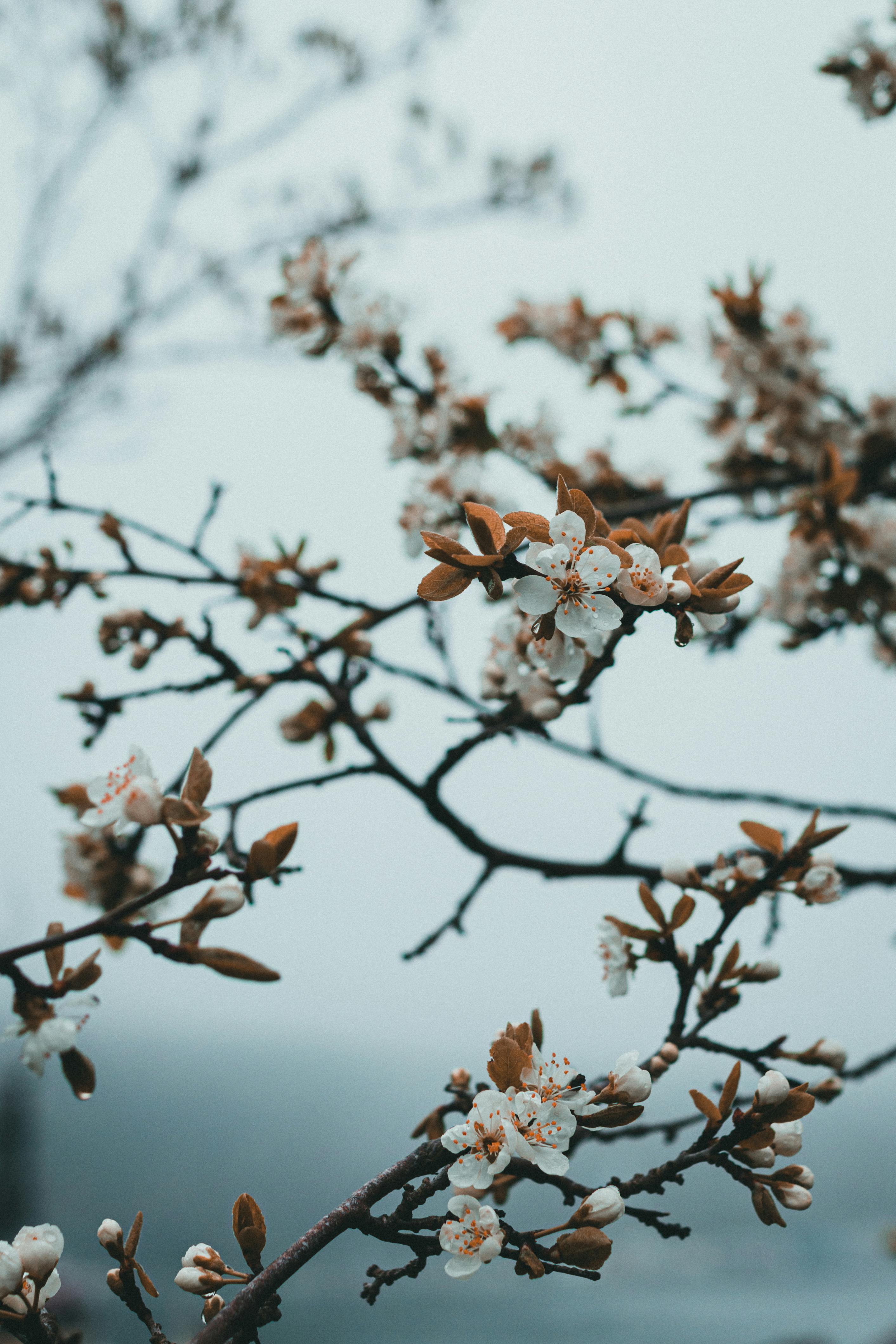 Jonathan Cooper - 摄影