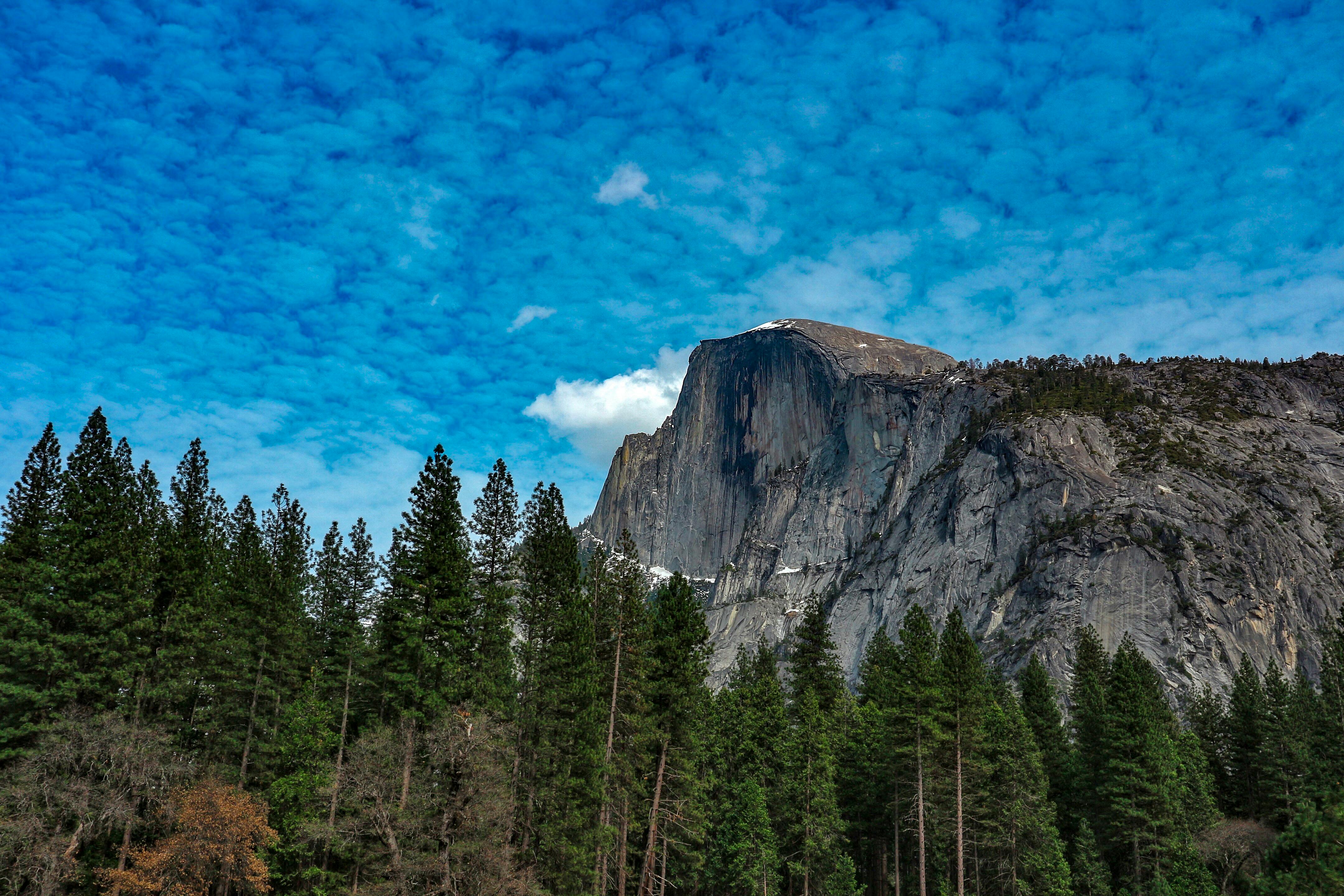 Yosemite 1 Photos & Videos Collected by Jason Alvarez