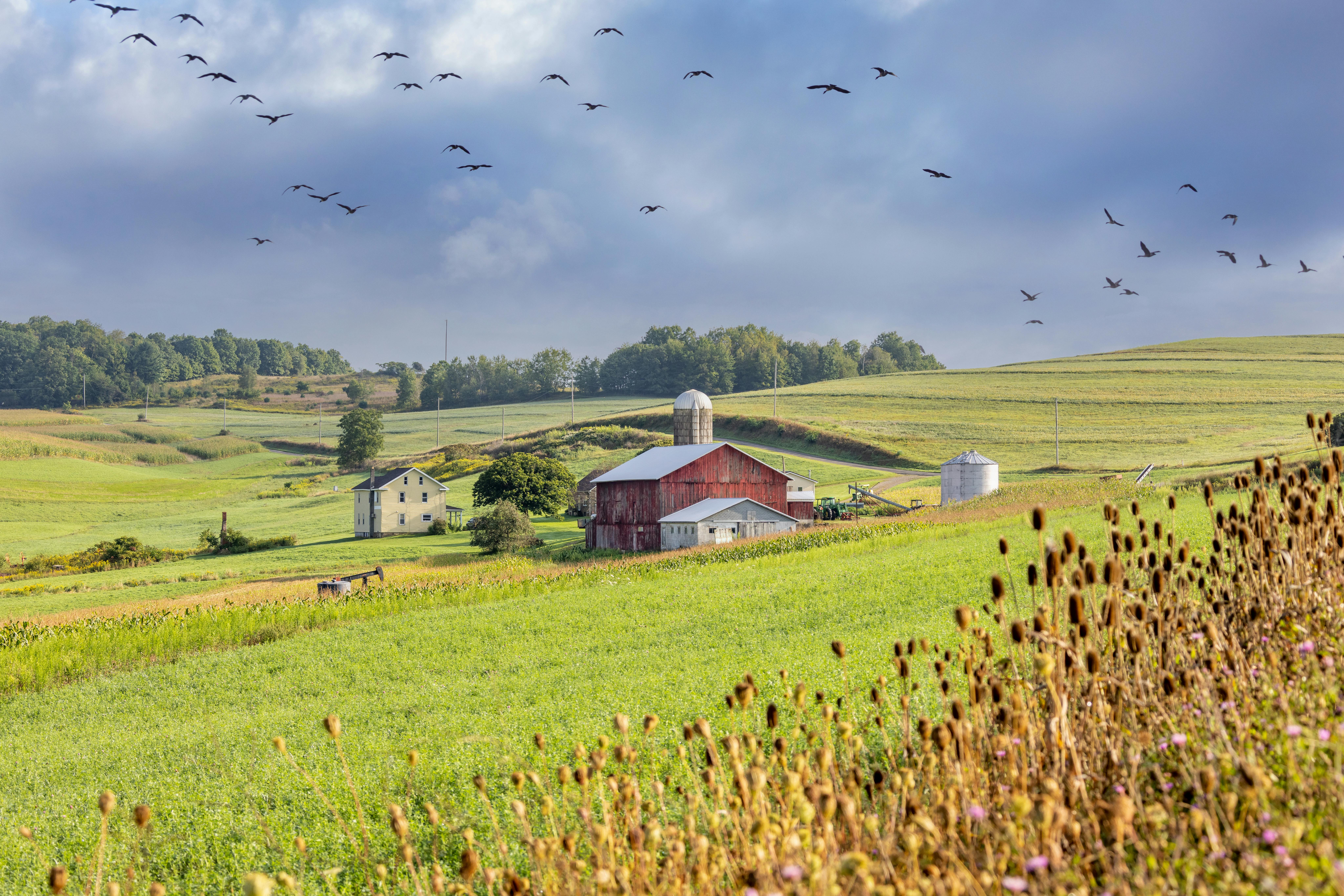 A Barn in the Countryside · Free Stock Photo