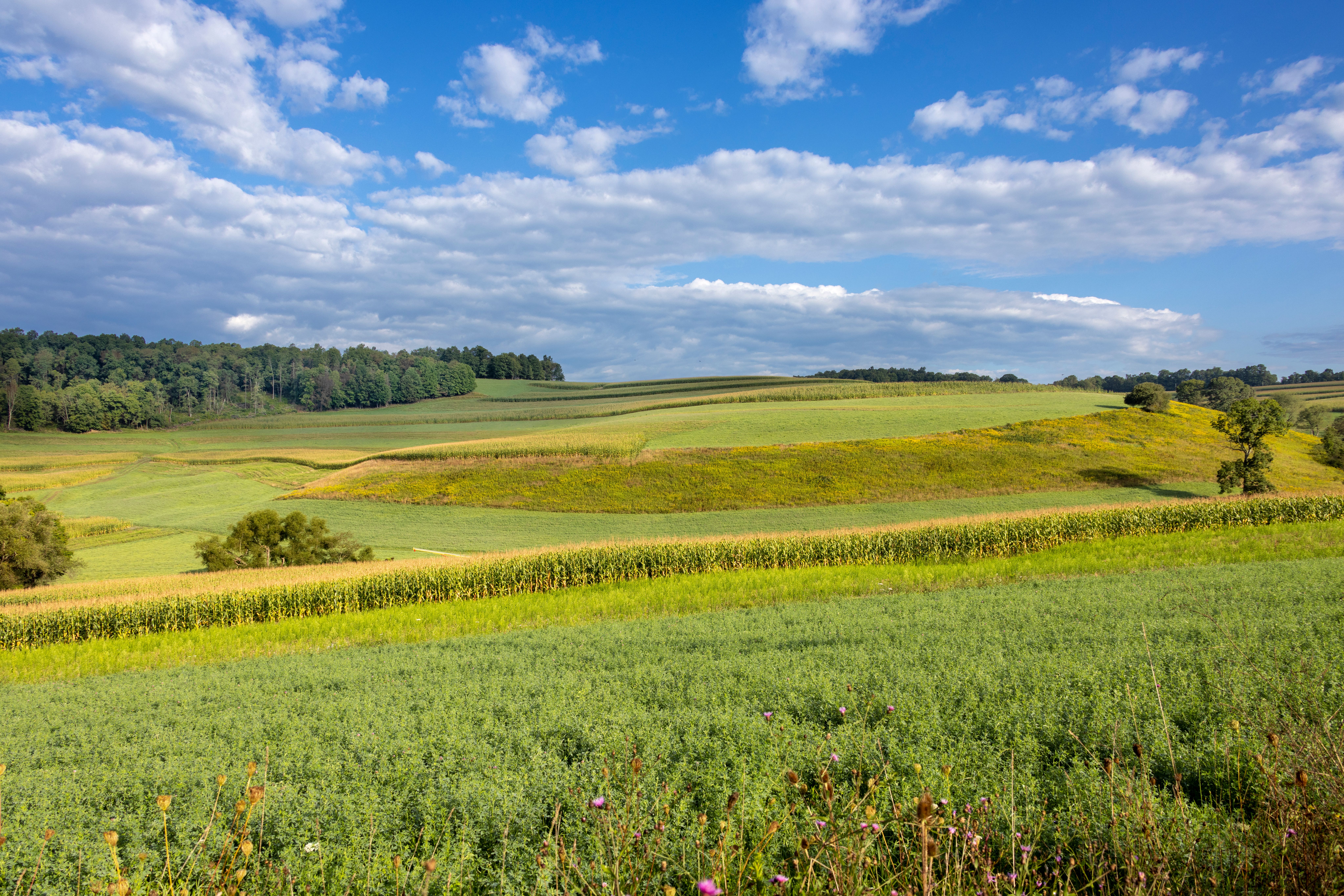 Pennsylvania Fields Photos, Download The BEST Free Pennsylvania Fields ...