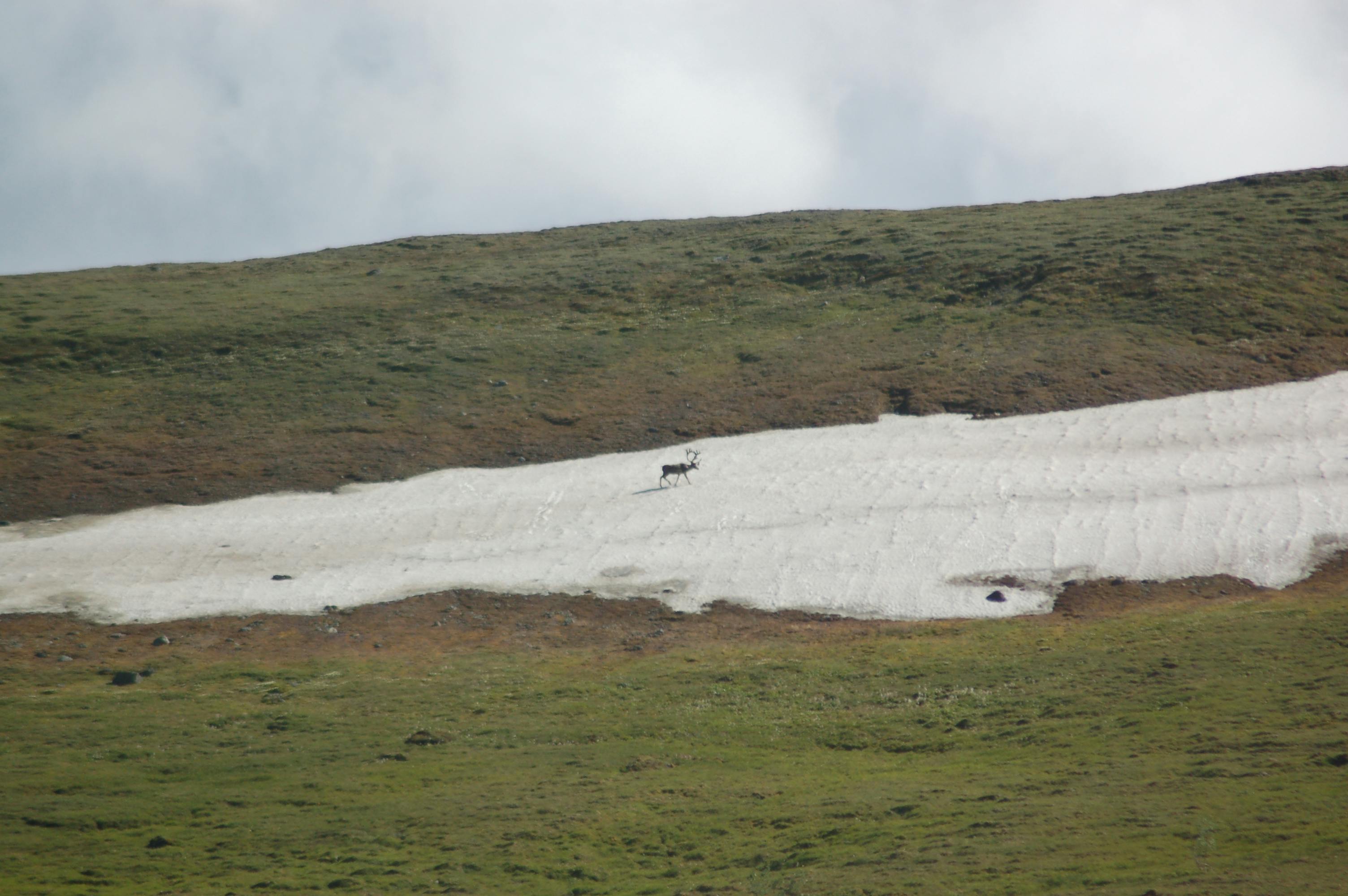 Roger Hunter - 사진