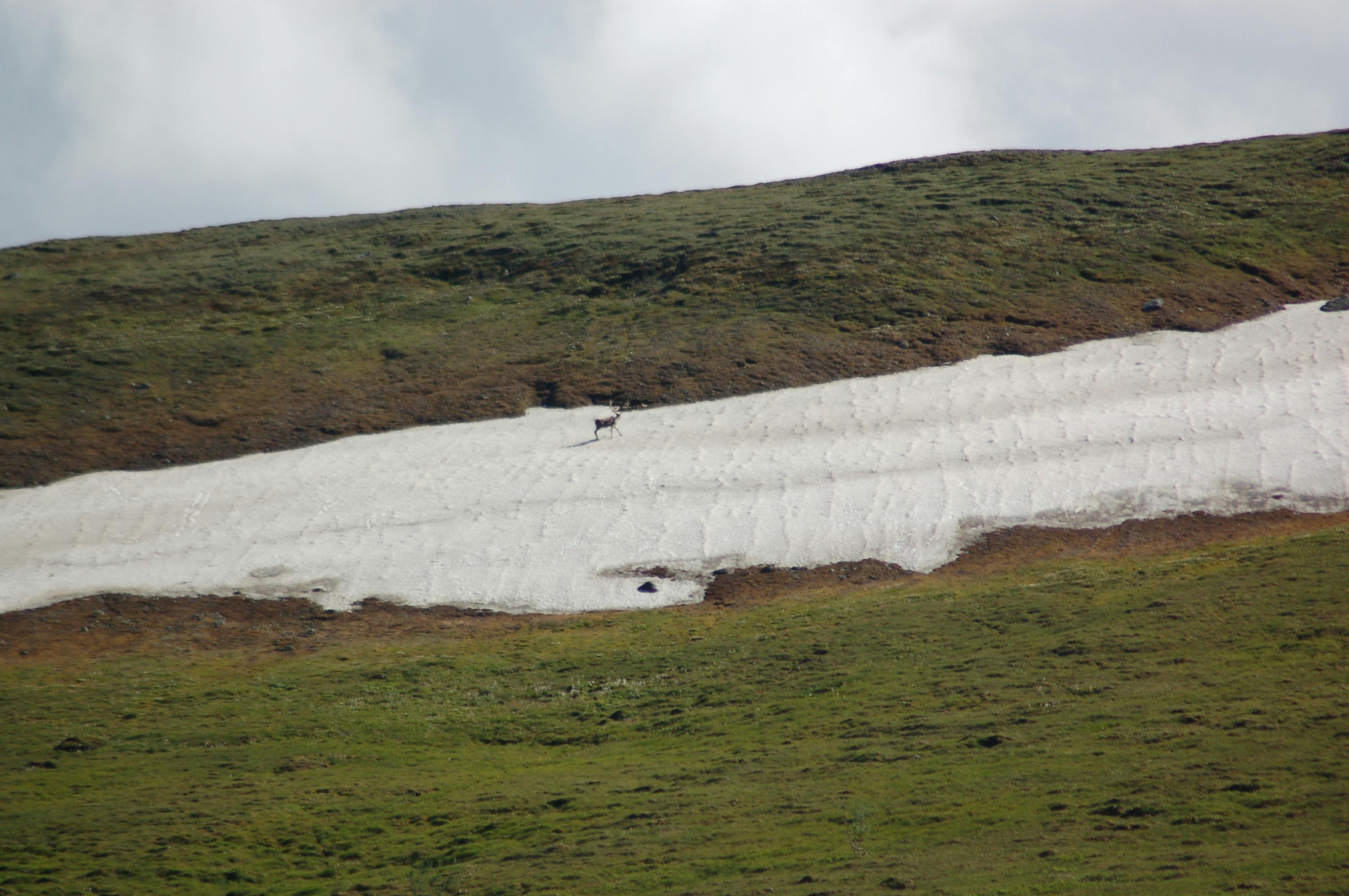 Roger Hunter - 사진