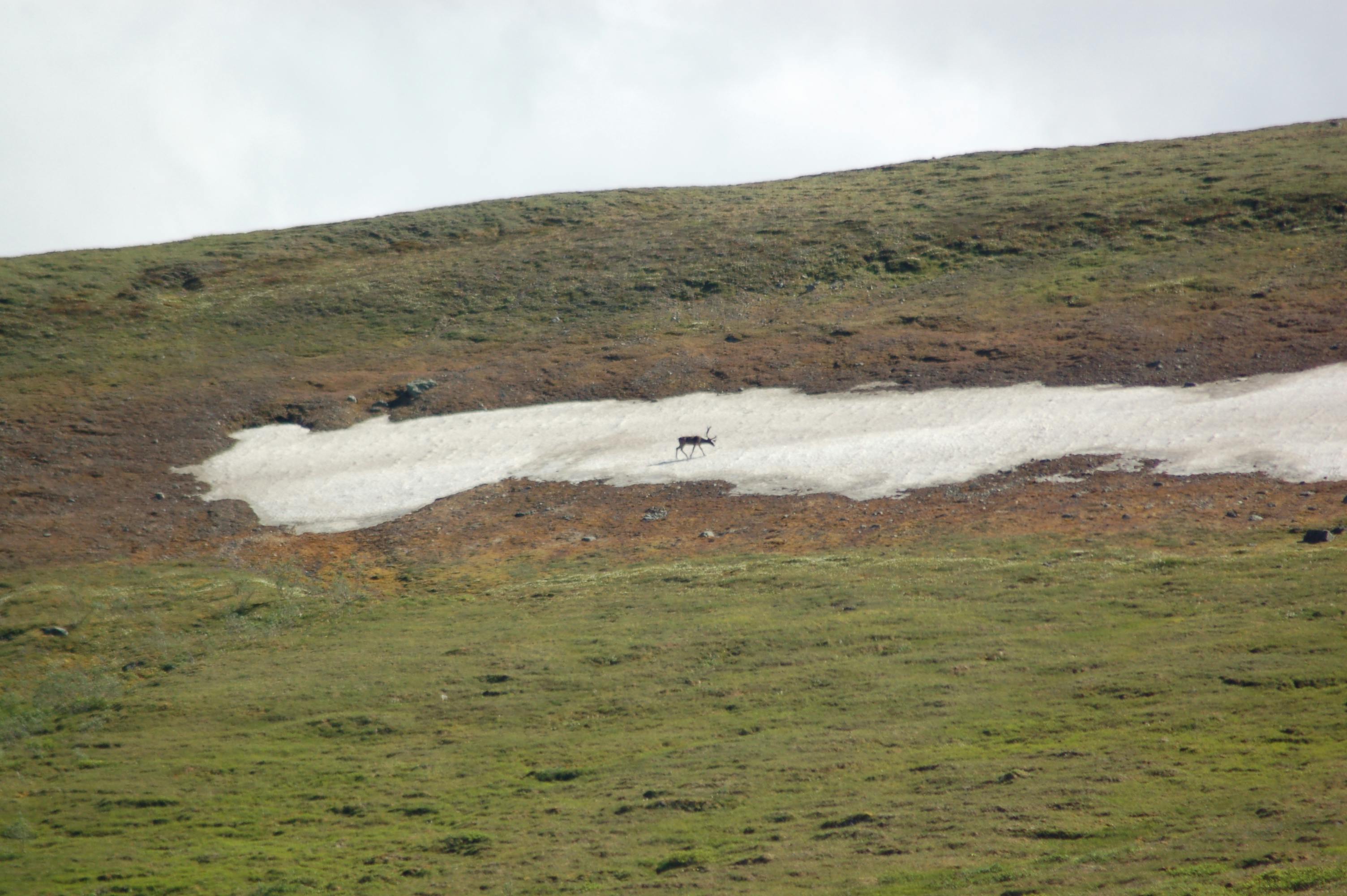 Roger Hunter - 사진