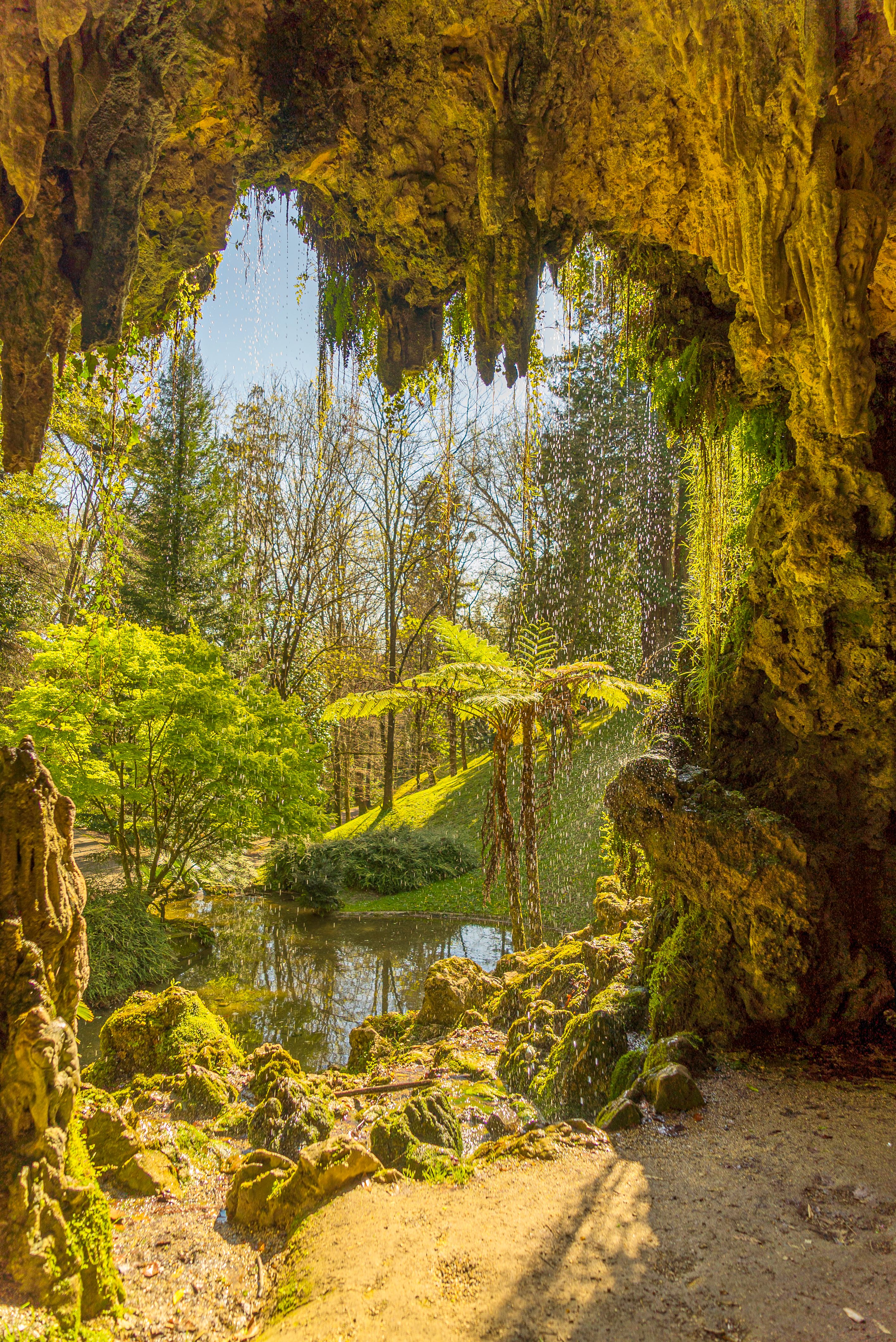 Plant Cave near Lake in Nature · Free Stock Photo