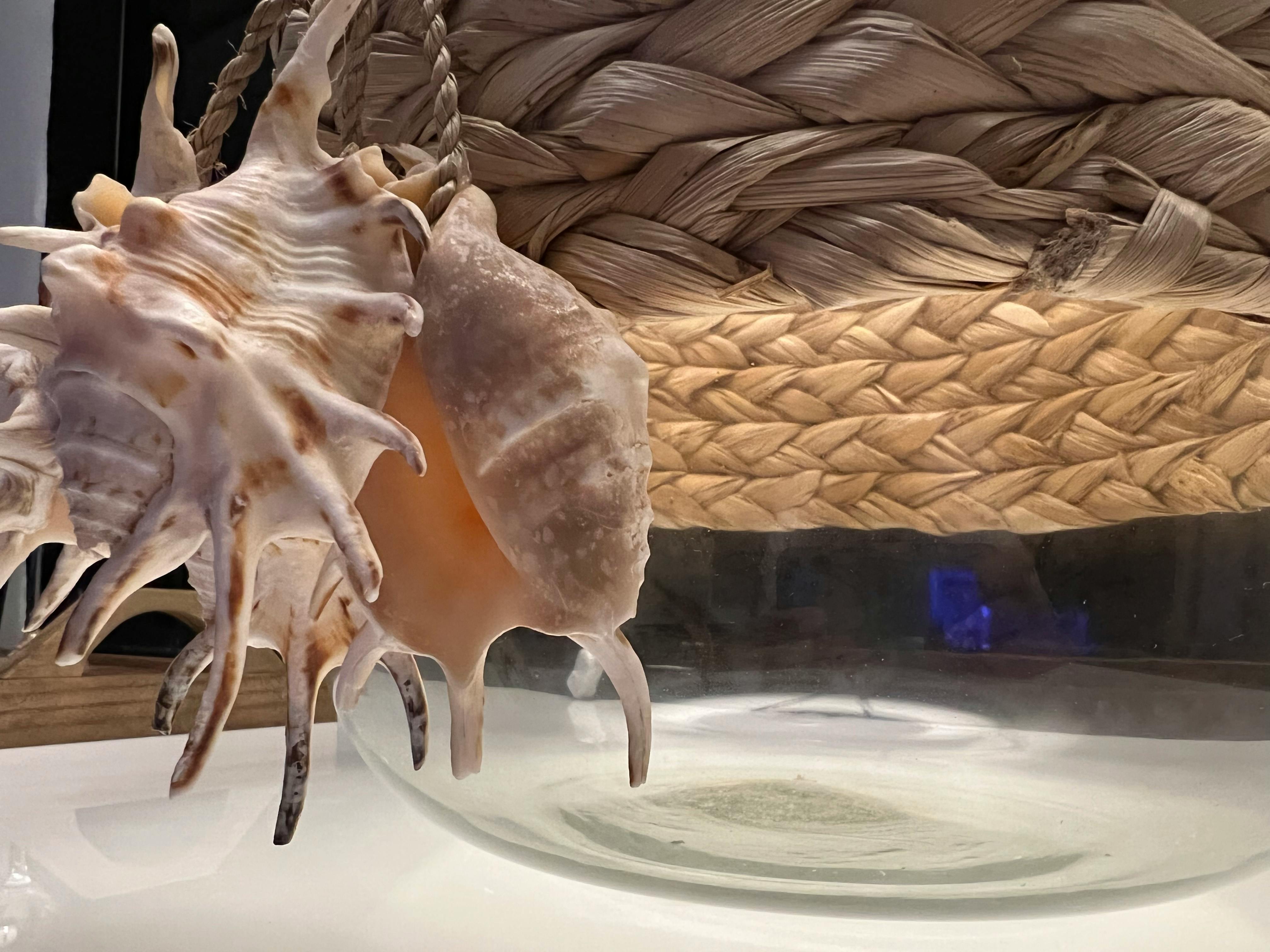 Eduardo Freire - Fotografía